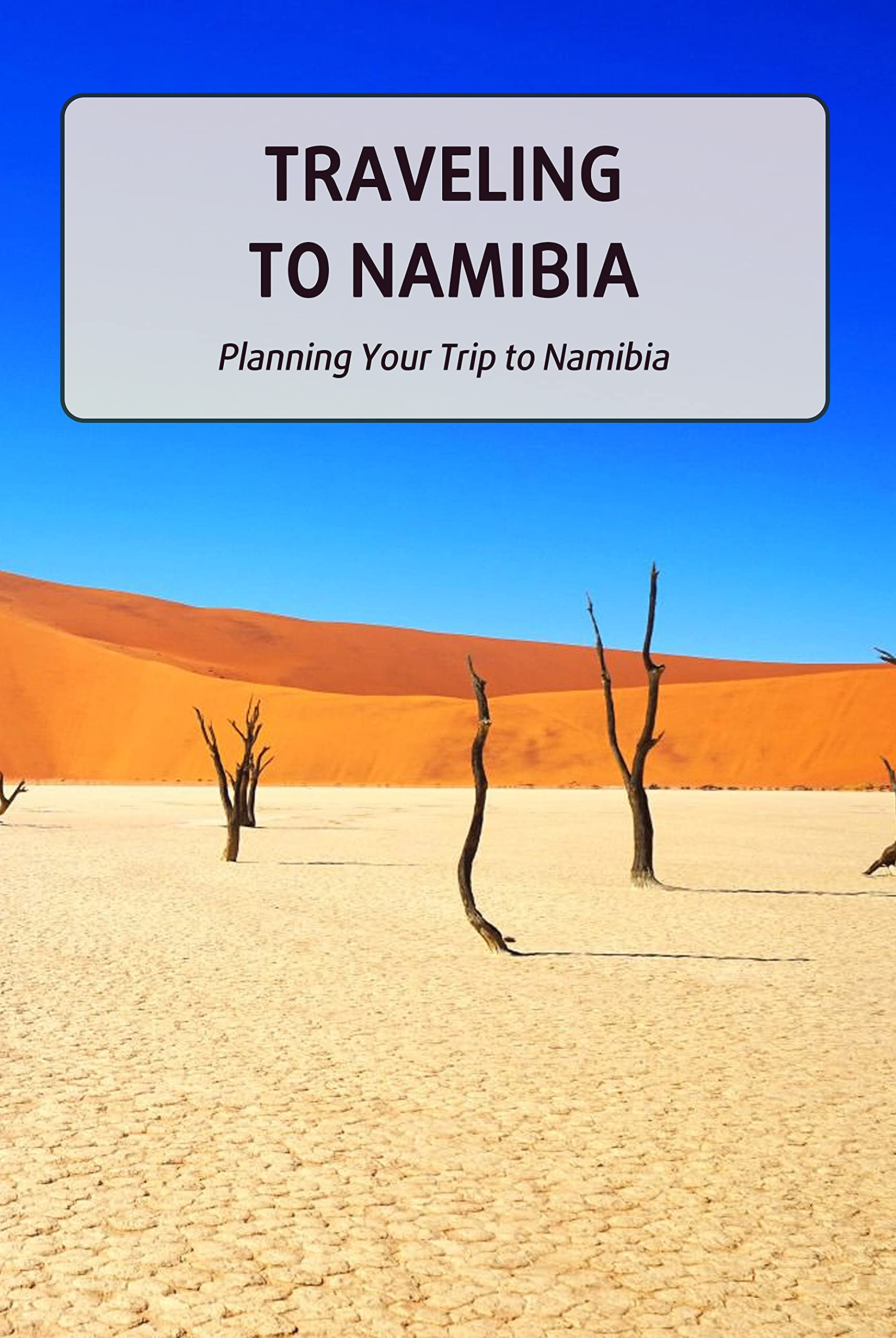 Traveling to Namibia: Planning Your Trip to Namibia: Namibia Travel ...
