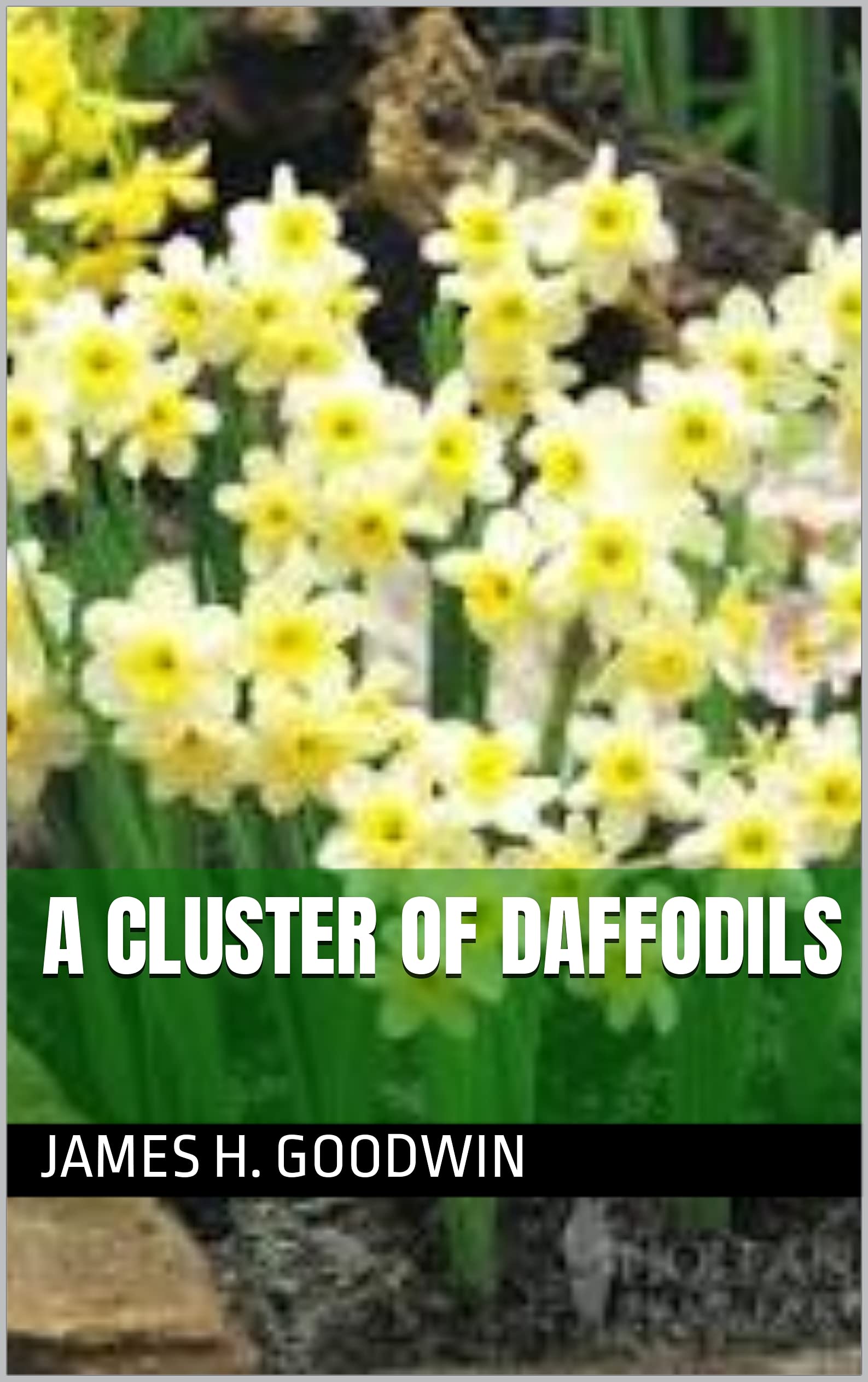 A Cluster of Daffodils by James H. Goodwin | Goodreads