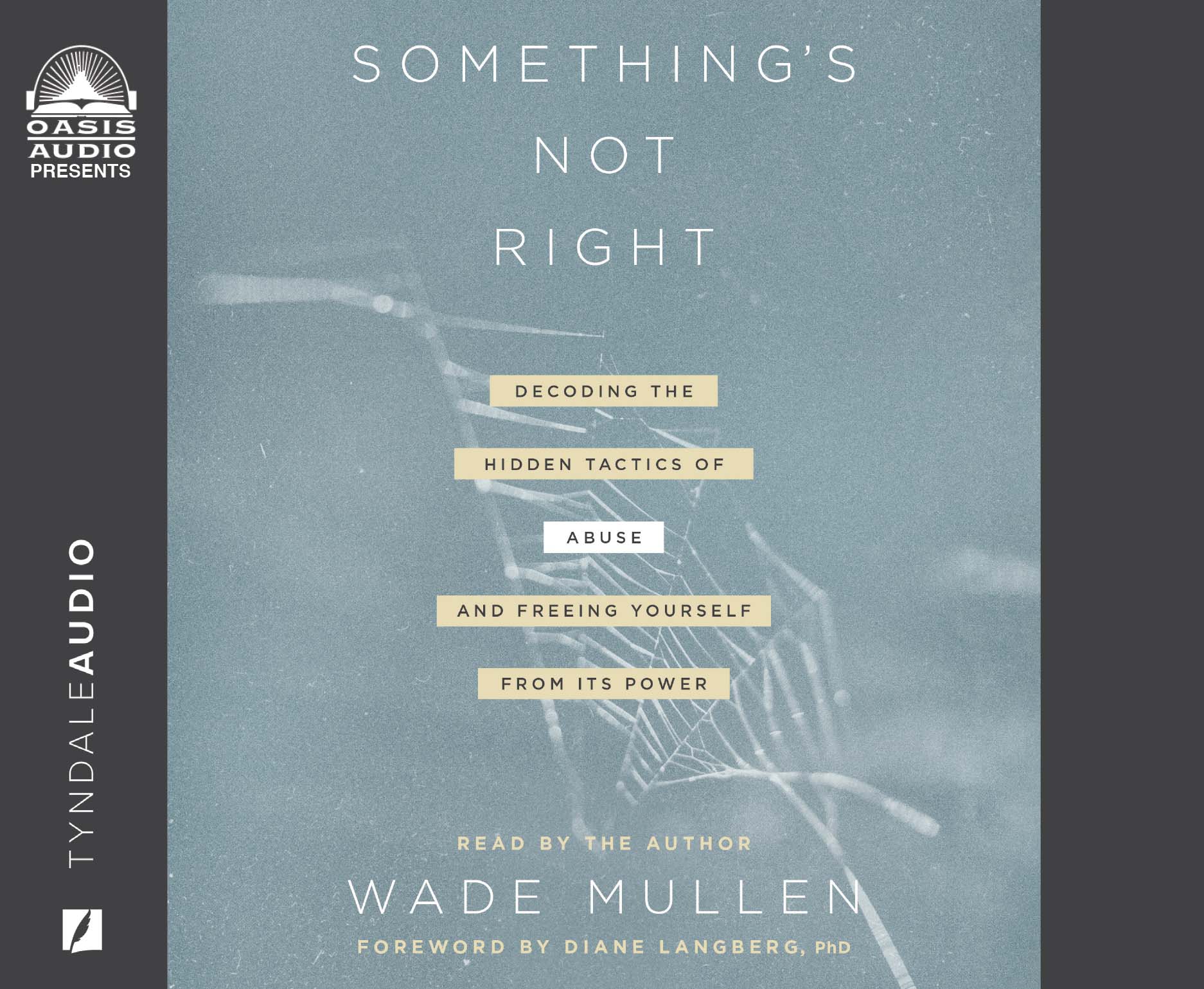 Something's Not Right: Decoding the Hidden Tactics of Abuse - And Freeing Yourself From Its ...