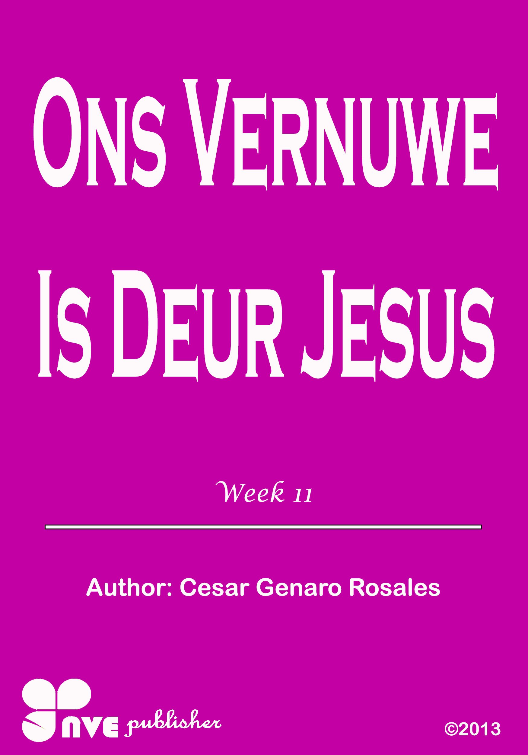 ONS VERNUWE IS DEUR JESUS (Hoe om te groei in die Christelike lewe Book ...