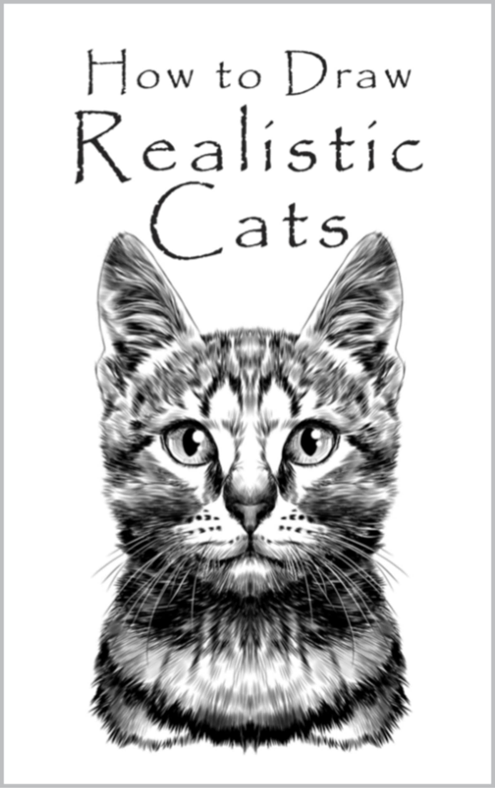 Easy Realistic Cat Drawing