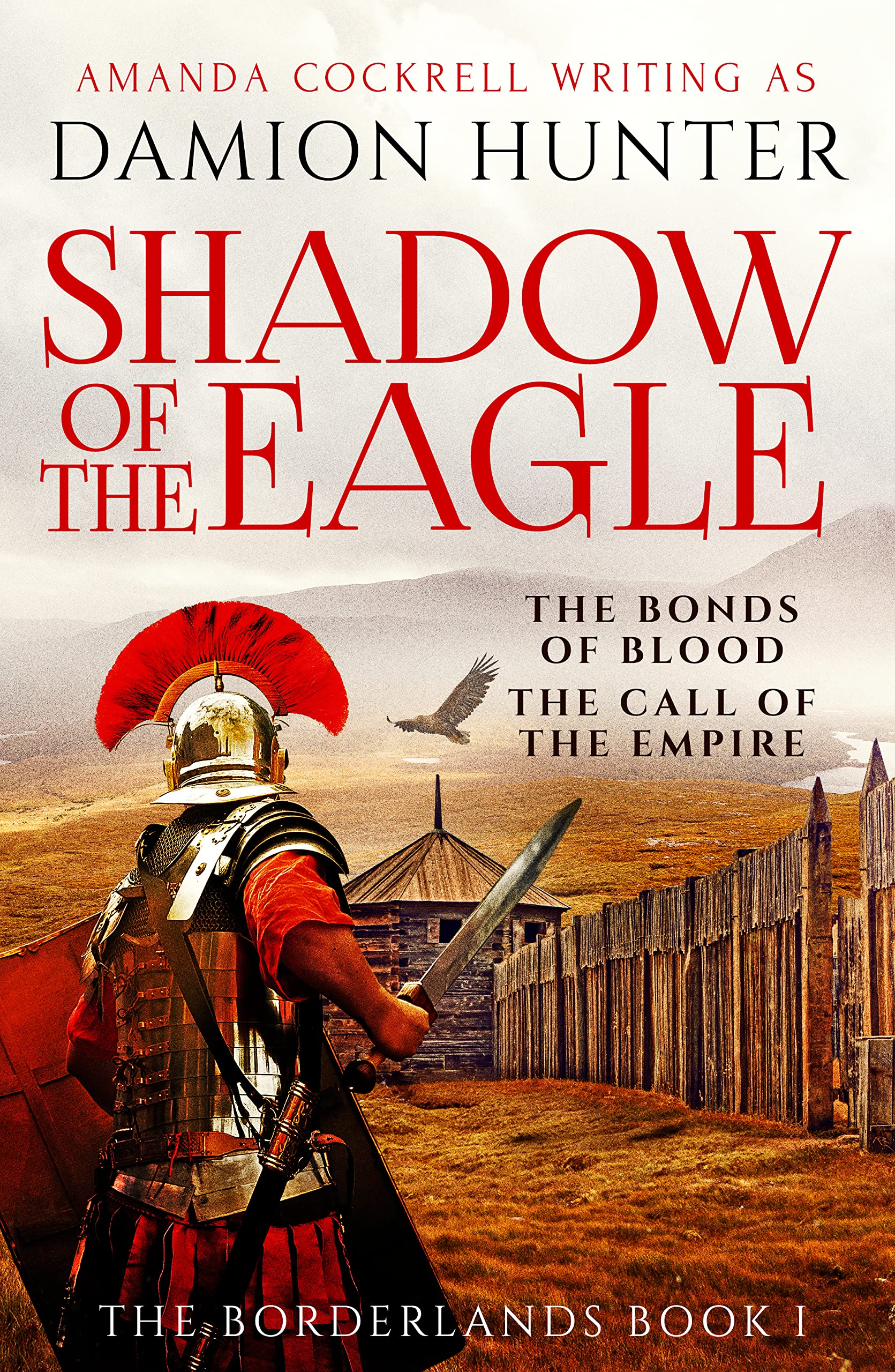 Shadow of the Eagle (The Borderlands #1) by Damion Hunter | Goodreads