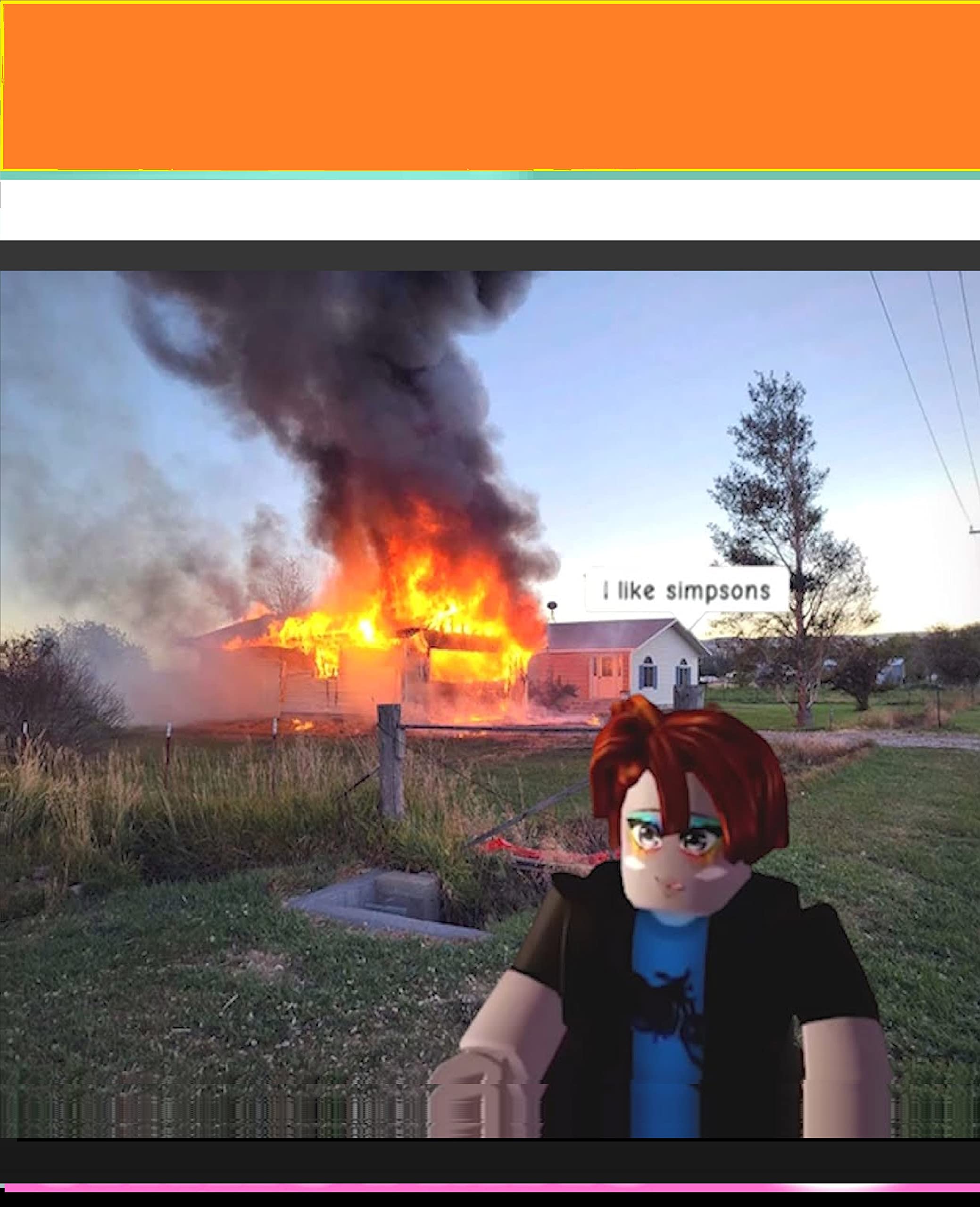EXTREMELY CURSED ROBLOX FUNBOOK : A Book with Pictures on Minecraft for ...