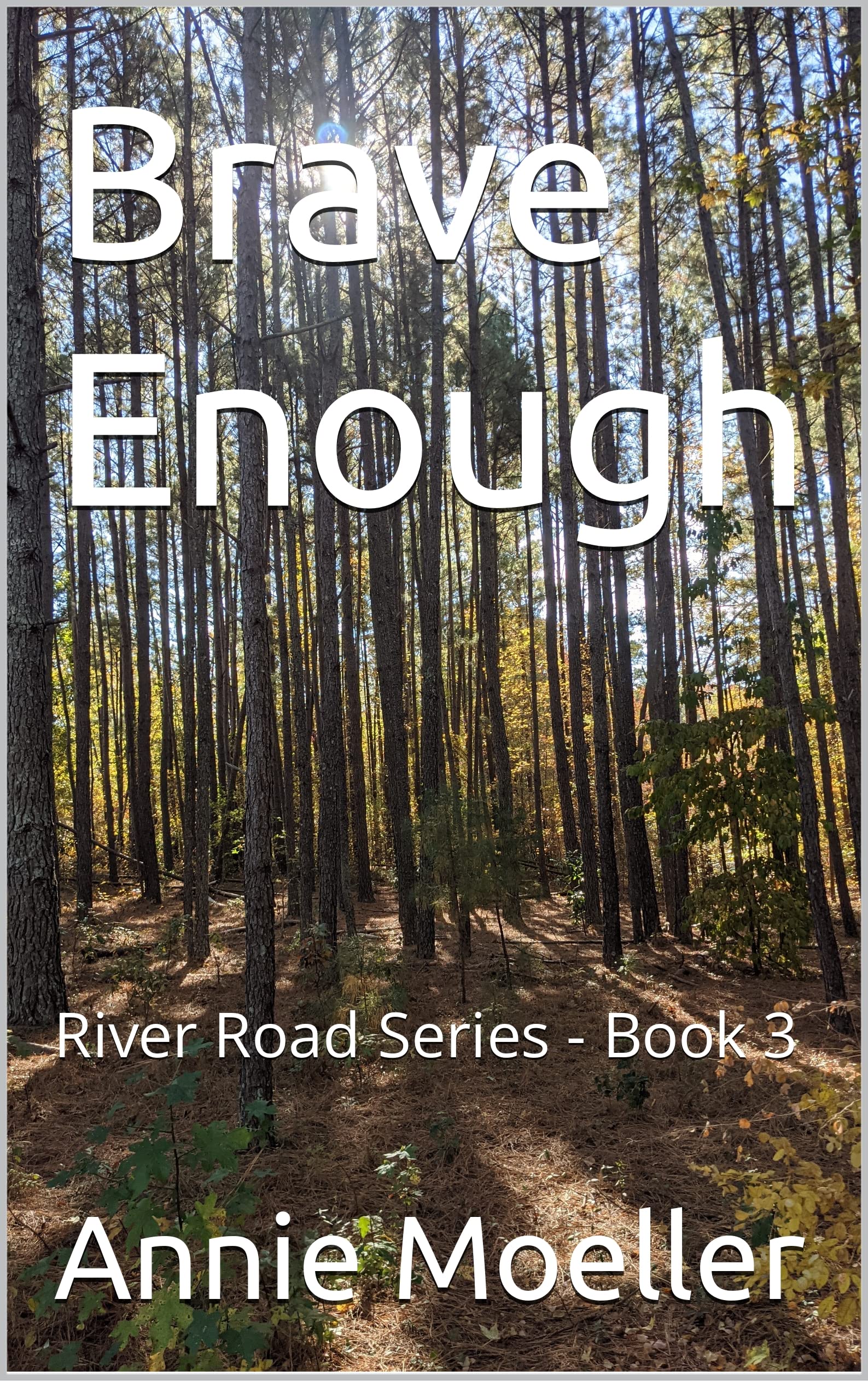 Brave Enough: River Road Series - Book 3 by Annie Moeller | Goodreads