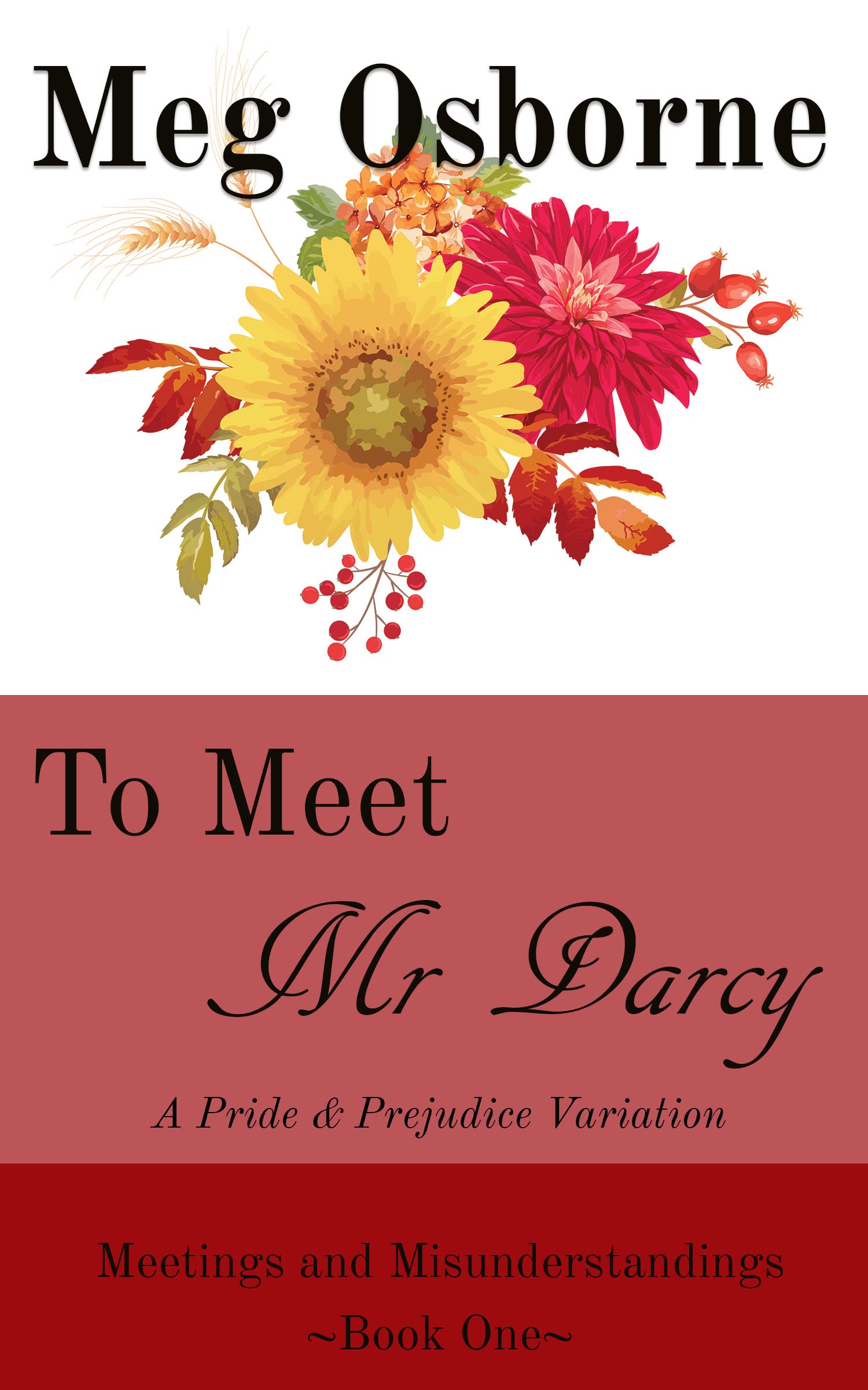 To Meet Mr Darcy: A Pride and Prejudice Variation by Meg Osborne ...