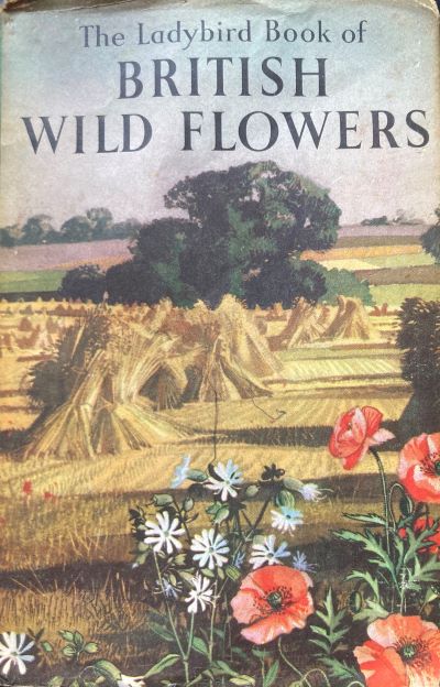 The Ladybird Book of British Wild Flowers by Brian Vesey-Fitzgerald ...