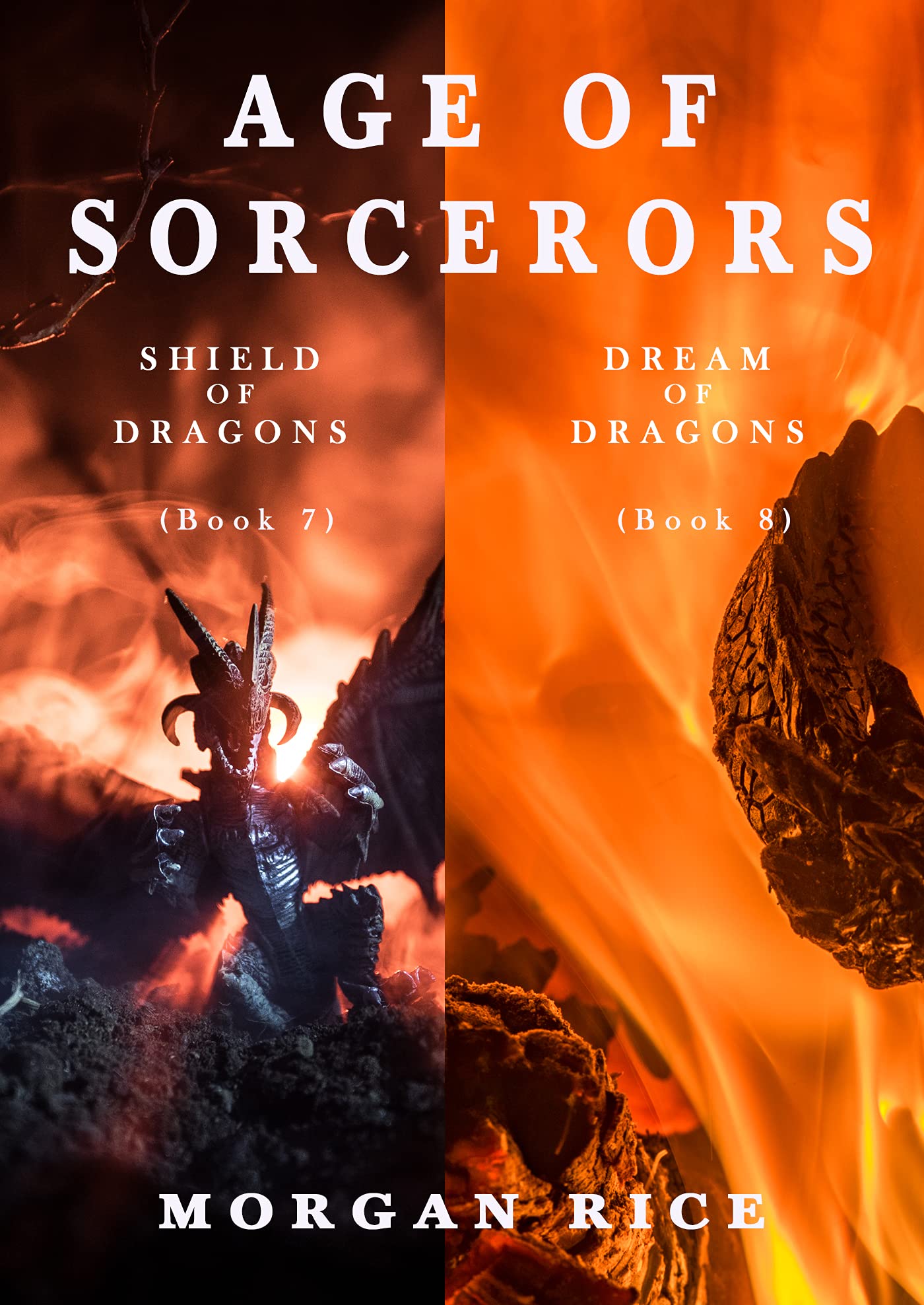 Age of the Sorcerers Bundle: Shield of Dragons (#7) and Dream of ...