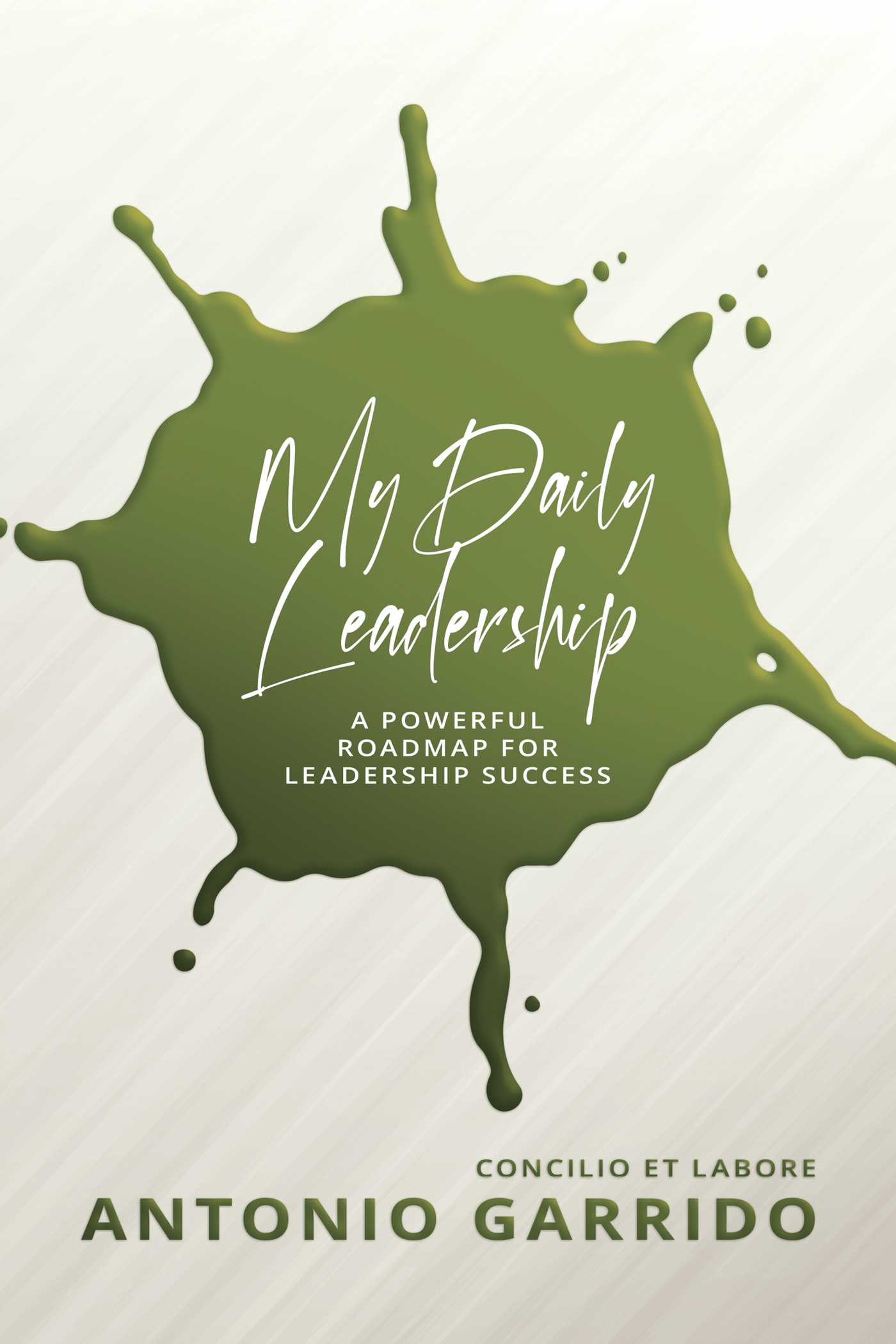 My Daily Leadership: A Powerful Roadmap for Leadership Success by ...