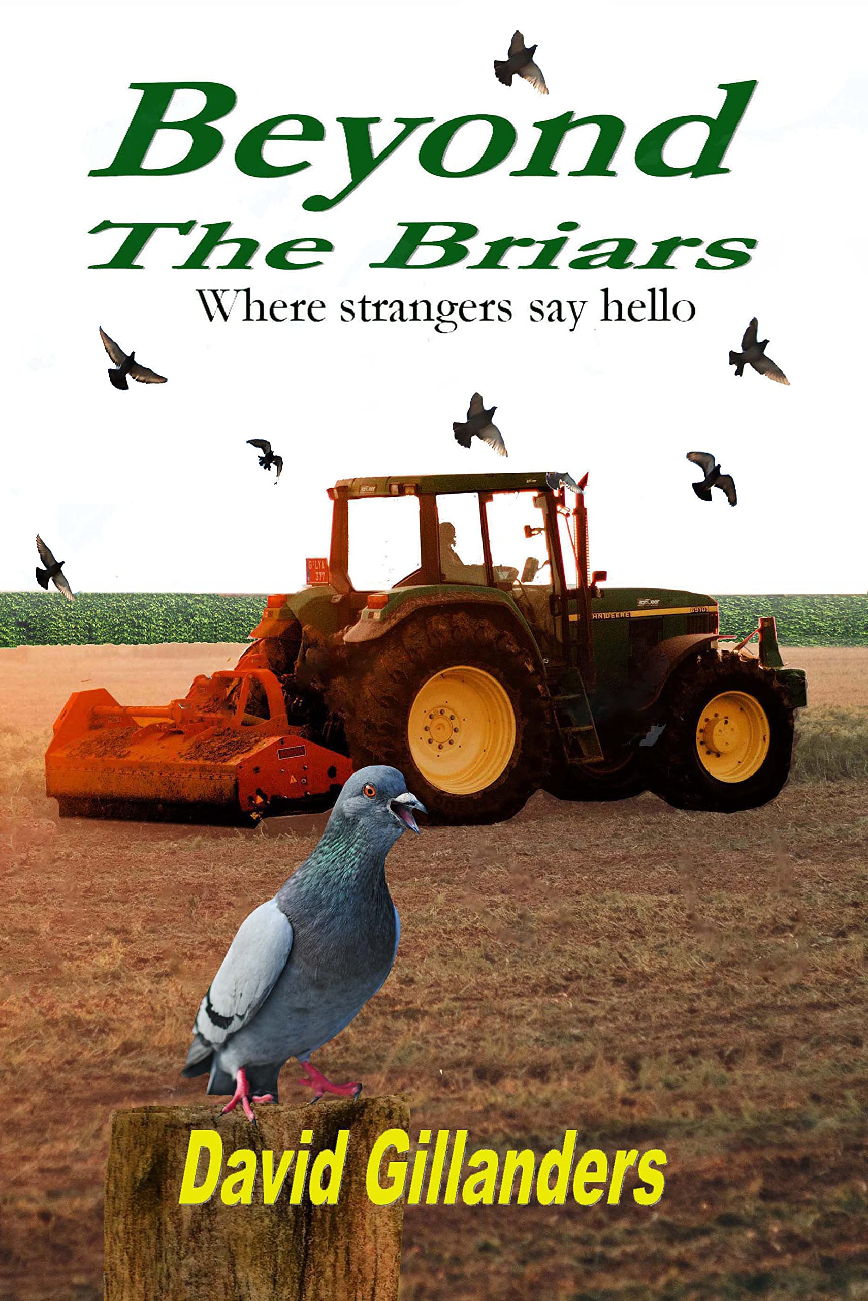 Beyond The Briars: Where Strangers Say Hello by David Gillanders | Goodreads