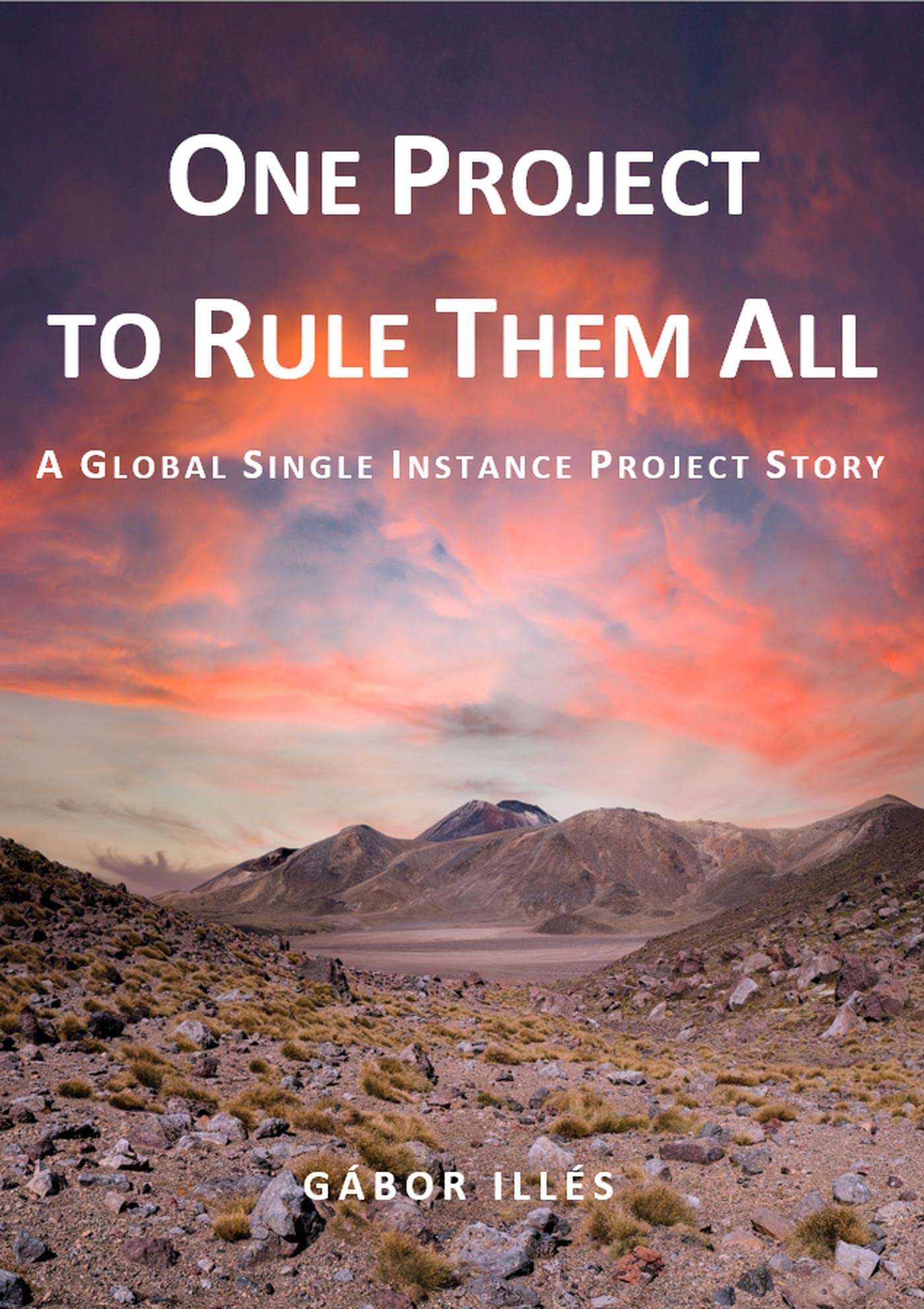 One Project to Rule Them All by Gábor Illés | Goodreads