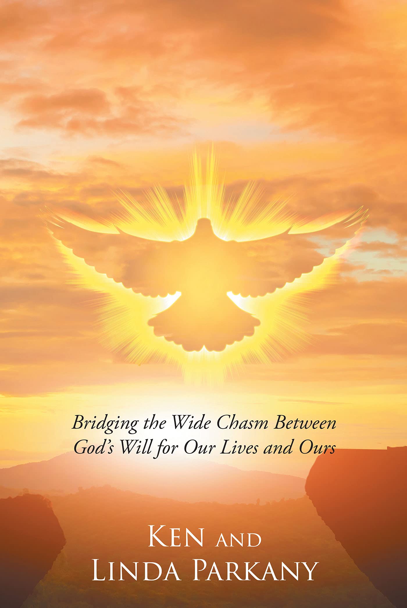 A Call to Inspire: Bridging the Wide Chasm Between God's Will for Our ...