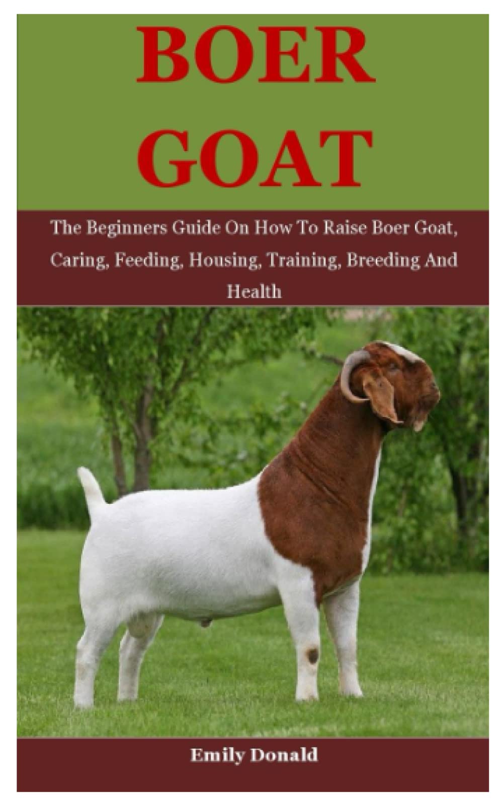 Boer Goat: The Beginners Guide On How To Raise Boer Goat, Caring ...