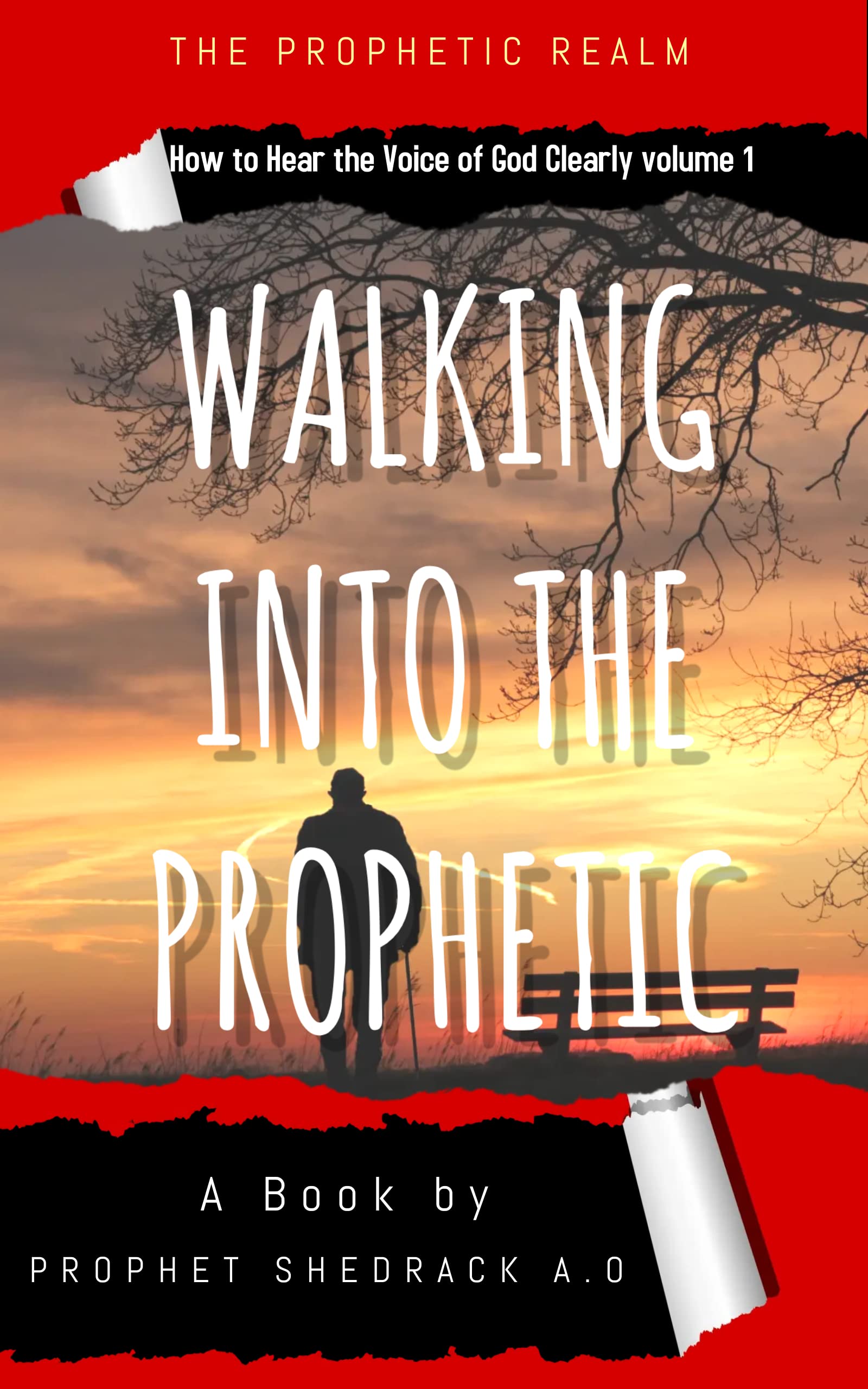 WALKING INTO THE PROPHETIC: How to Hear the Voice of God Clearly volume ...