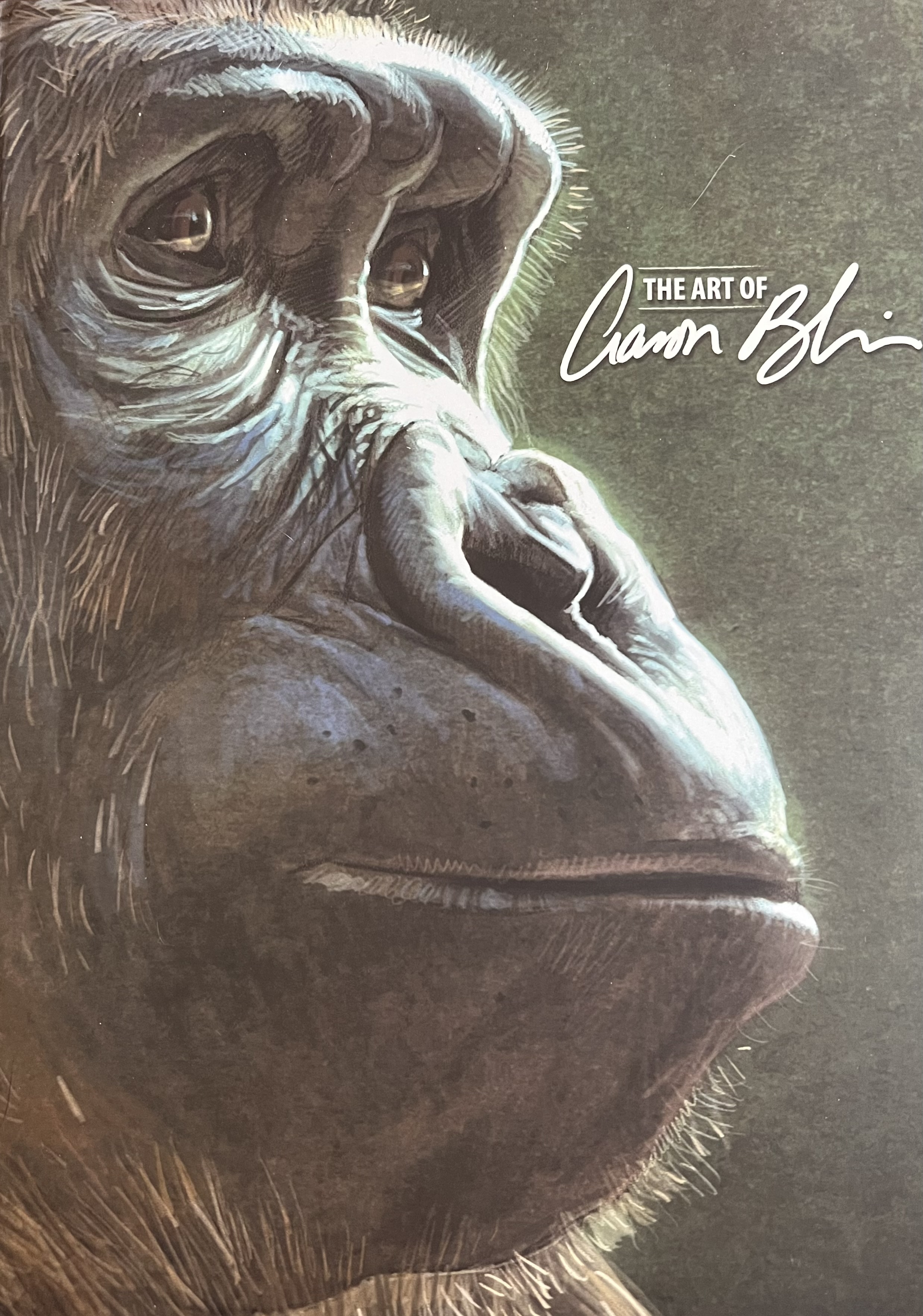 The Art of Aaron Blaise: Volume I by Aaron Blaise | Goodreads