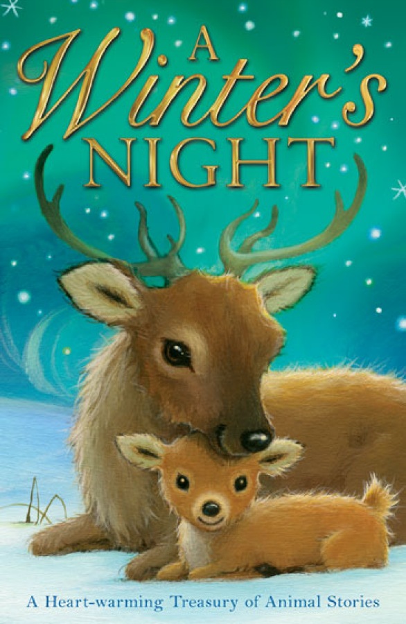 A Winter's Night by Holly Webb | Goodreads