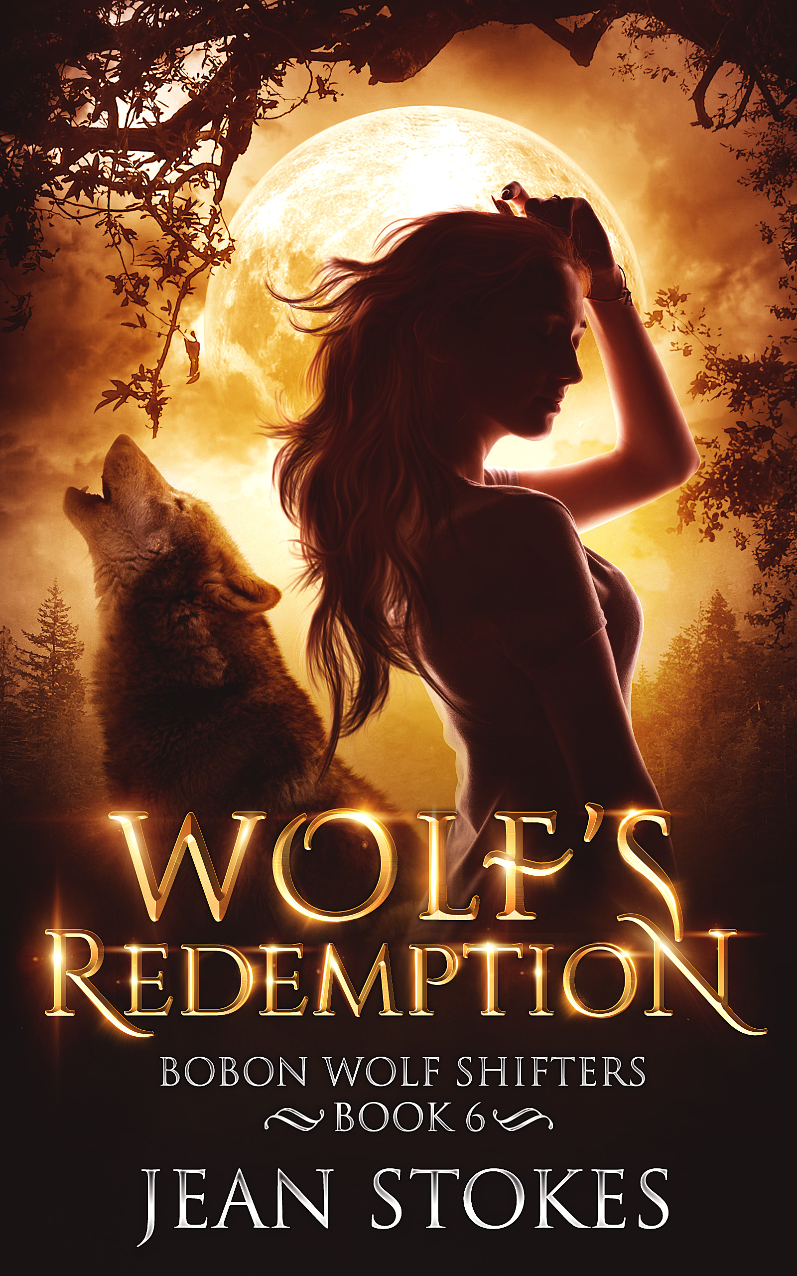 Wolf's Redemption (Bobon Wolf Shifters #6) by Jean Stokes | Goodreads