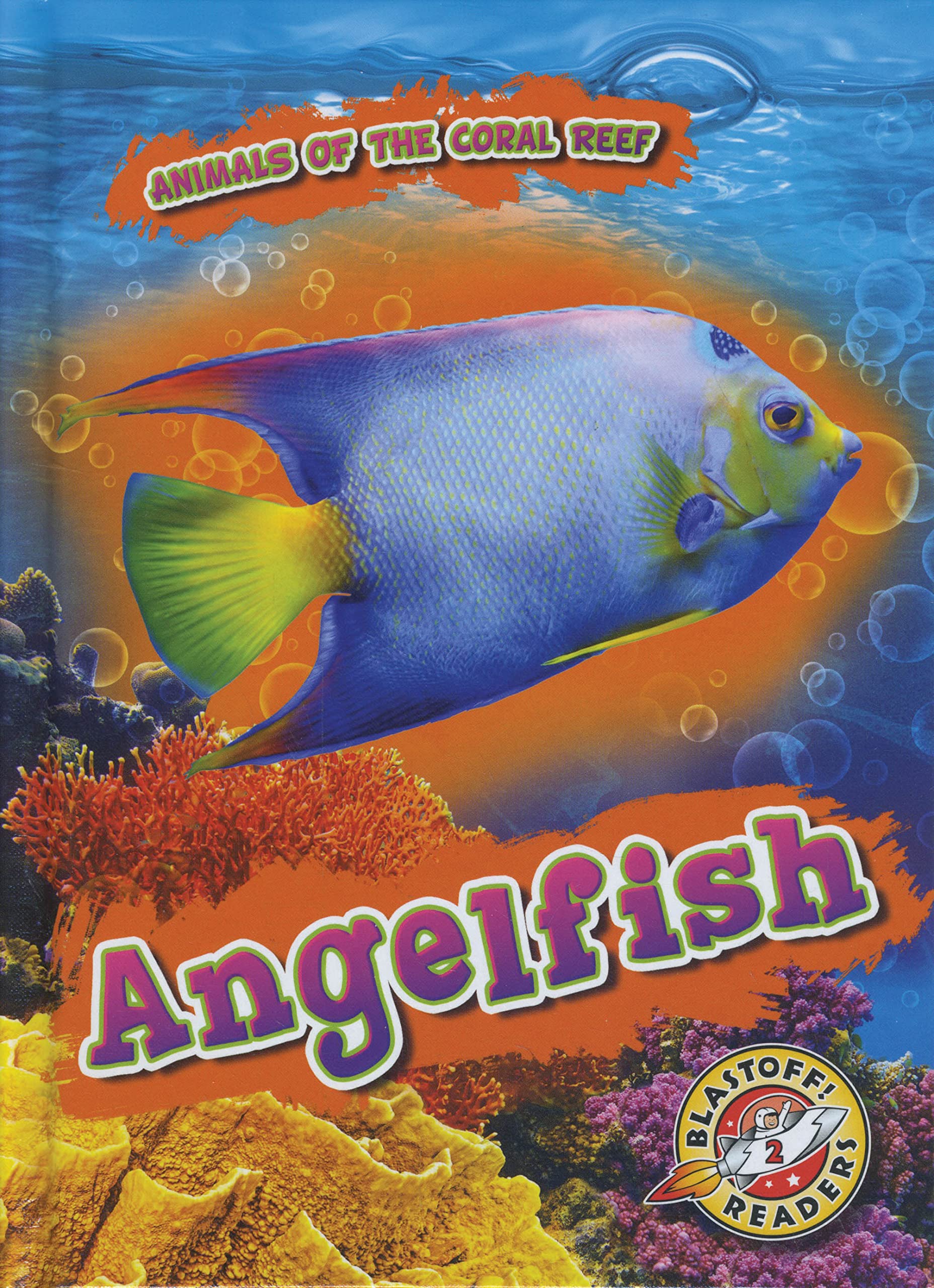 Angelfish by Kate Moening | Goodreads