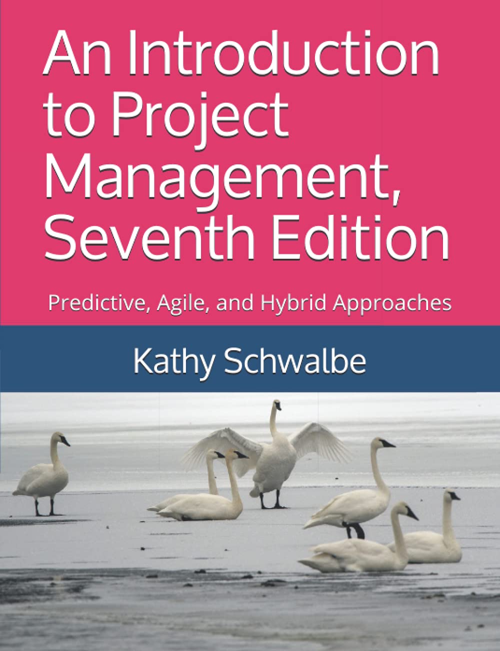 An Introduction to Project Management, Seventh Edition: Predictive ...