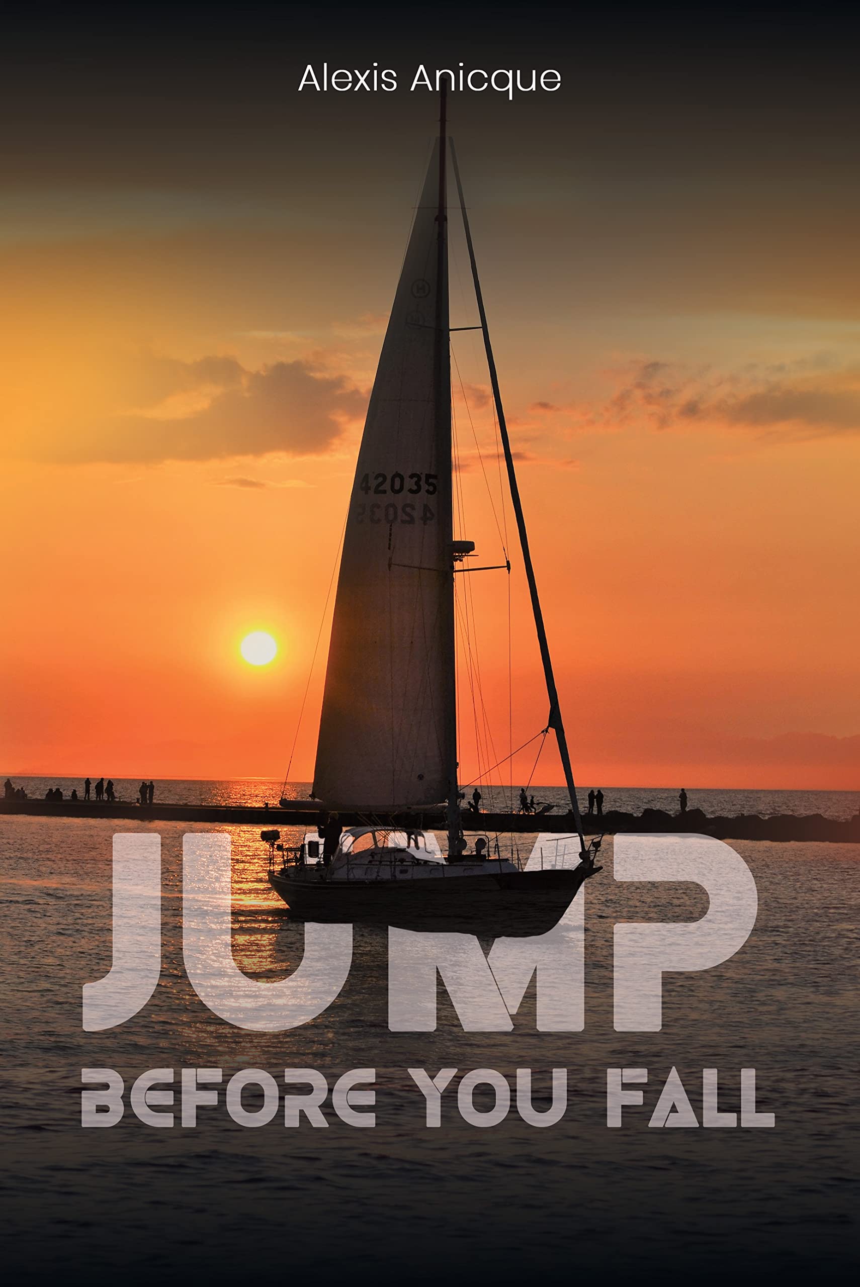 Jump Before You Fall by Alexis Anicque | Goodreads