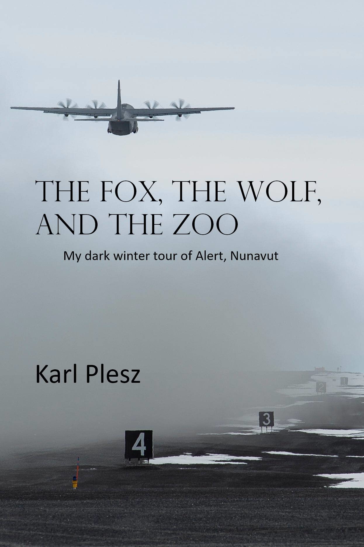 The Fox, the Wolf, and the Zoo: My dark winter tour of Alert, Nunavut ...
