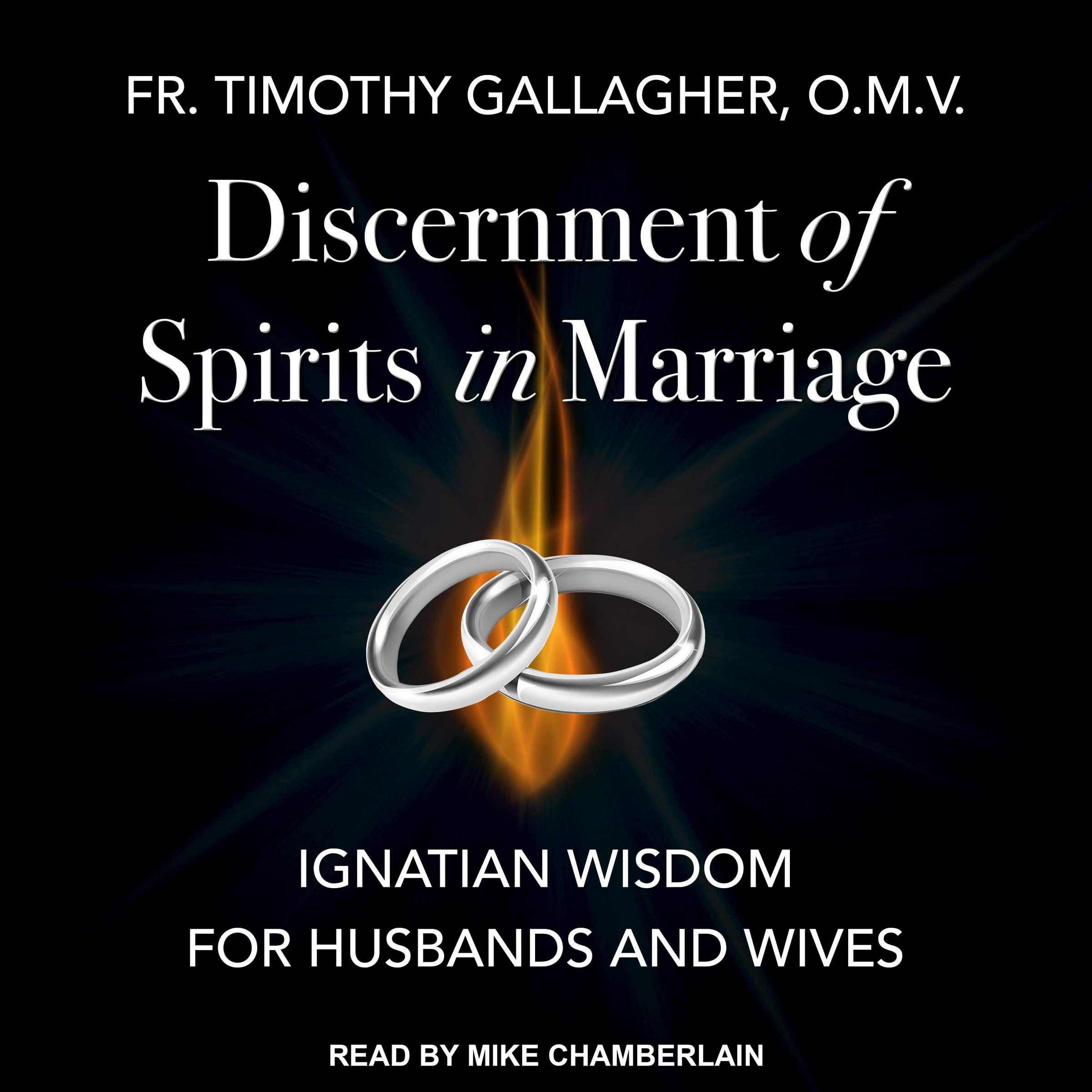 Discernment of Spirits in Marriage: Ignatian Wisdom for Husbands and ...
