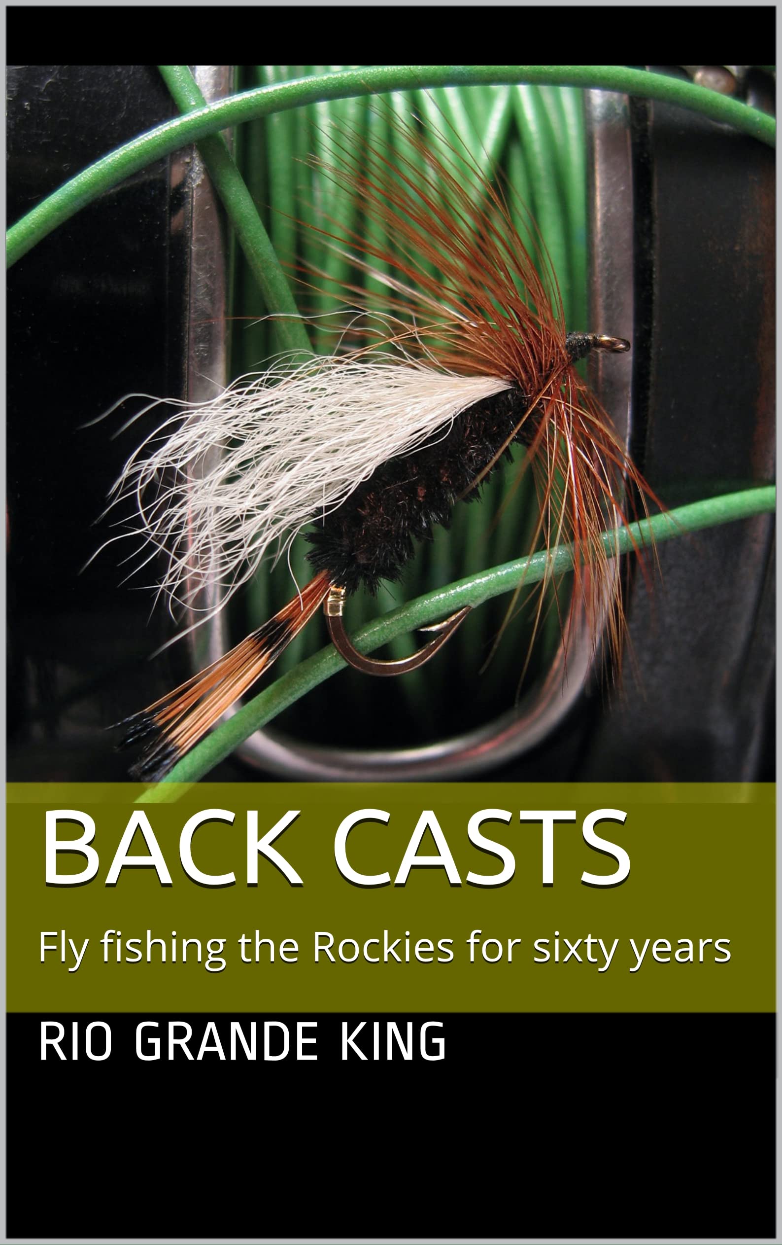 Back casts: Decades of fly fishing deception and obsession by Rio ...