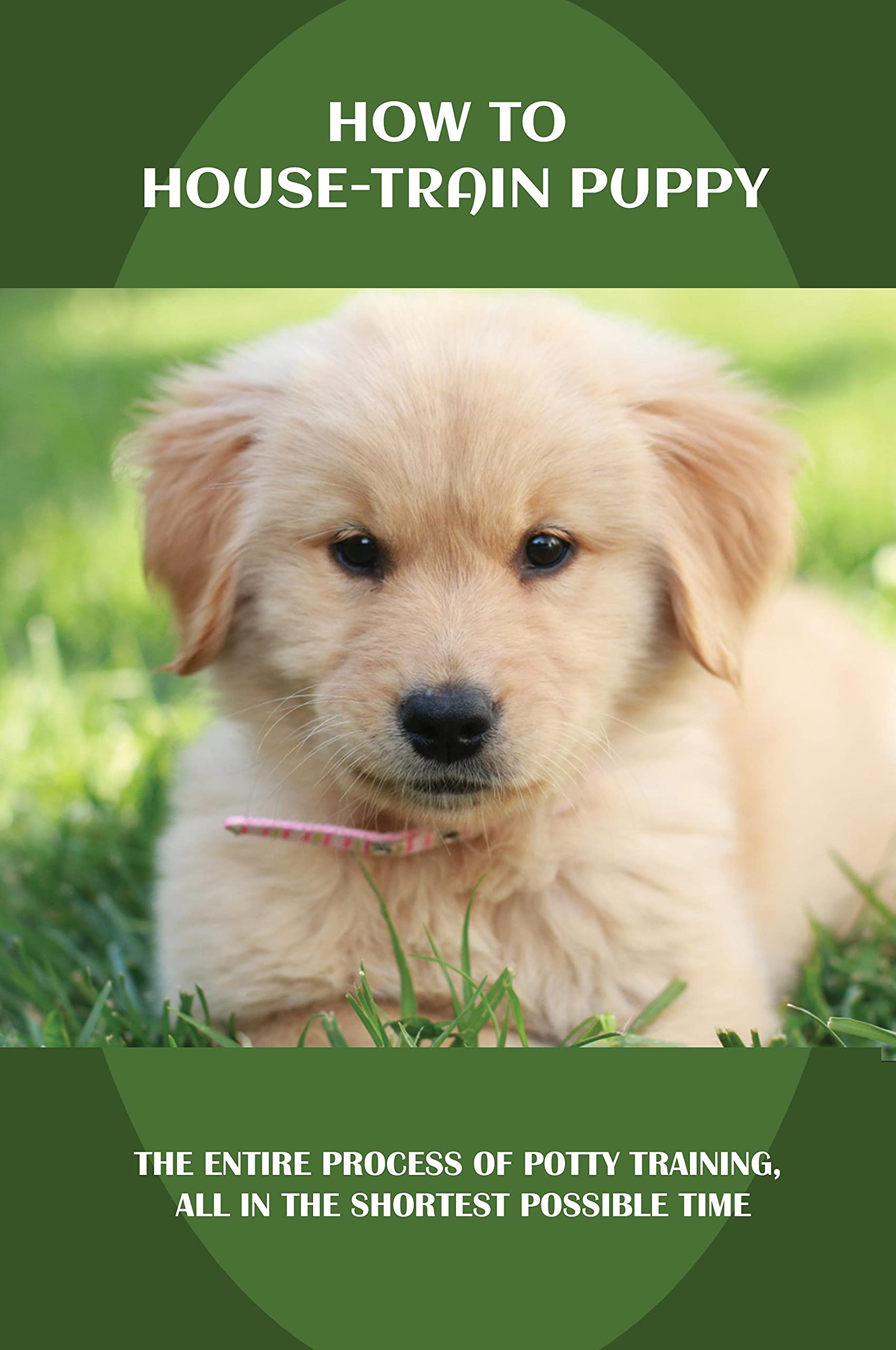 How To House Train Puppy The Entire Process Of Potty Training All In How To House Train Puppy The Entire Process Of Potty Training All In