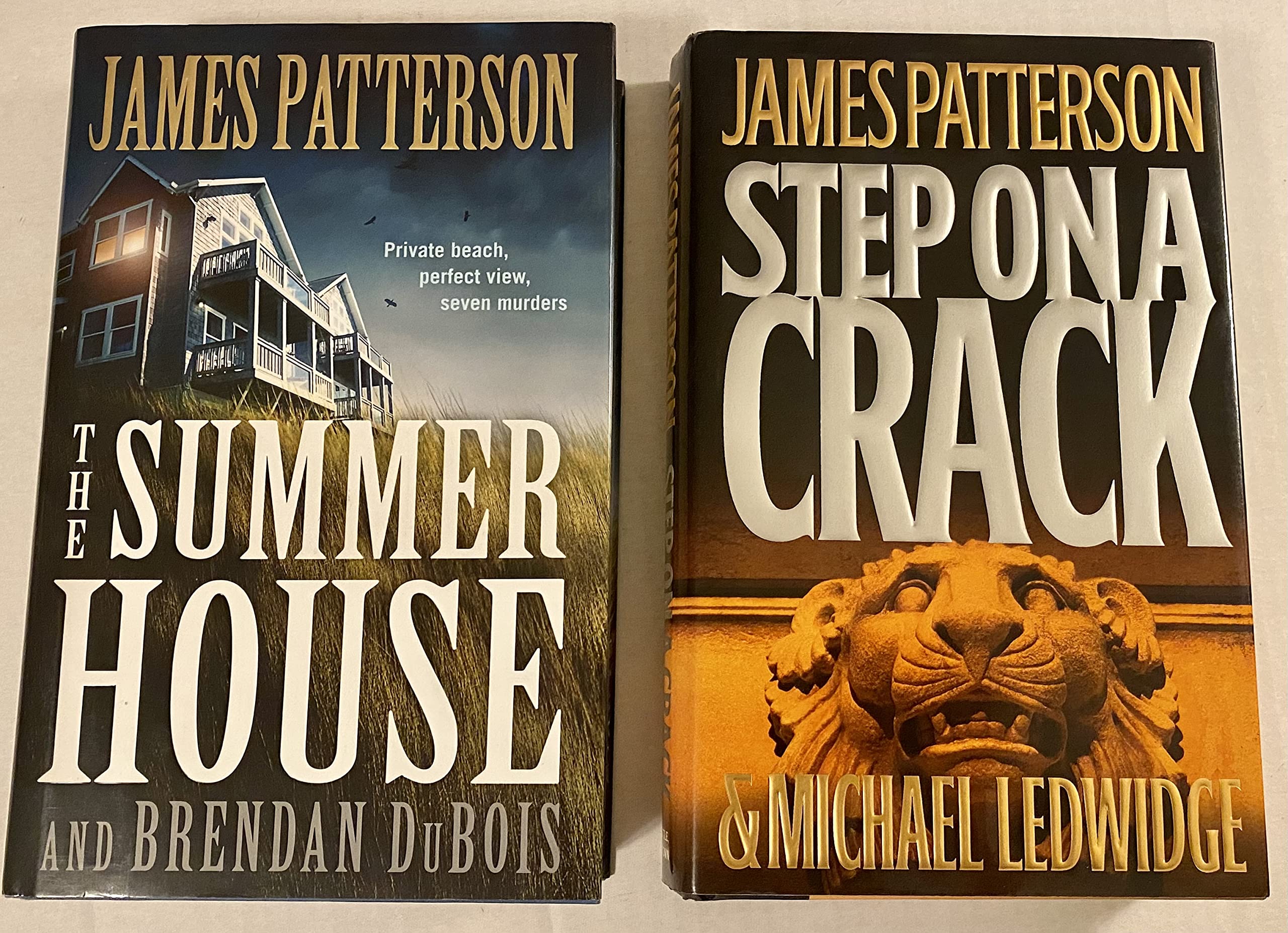 2 James Patterson Books! 1) Postcard Killers 2) The Quickie by James ...
