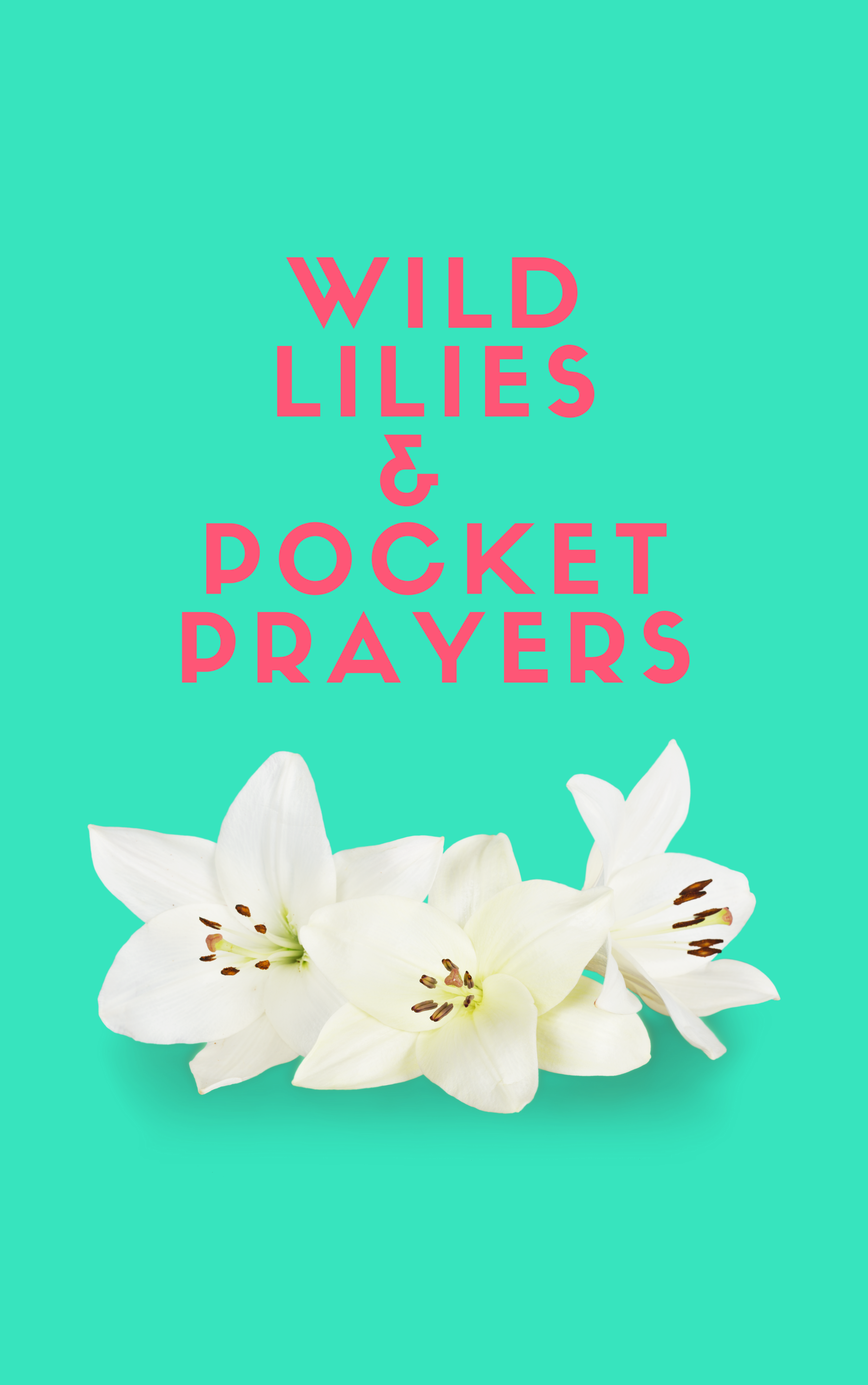 WILD LILIES AND POCKET PRAYERS by A. Stoddard | Goodreads