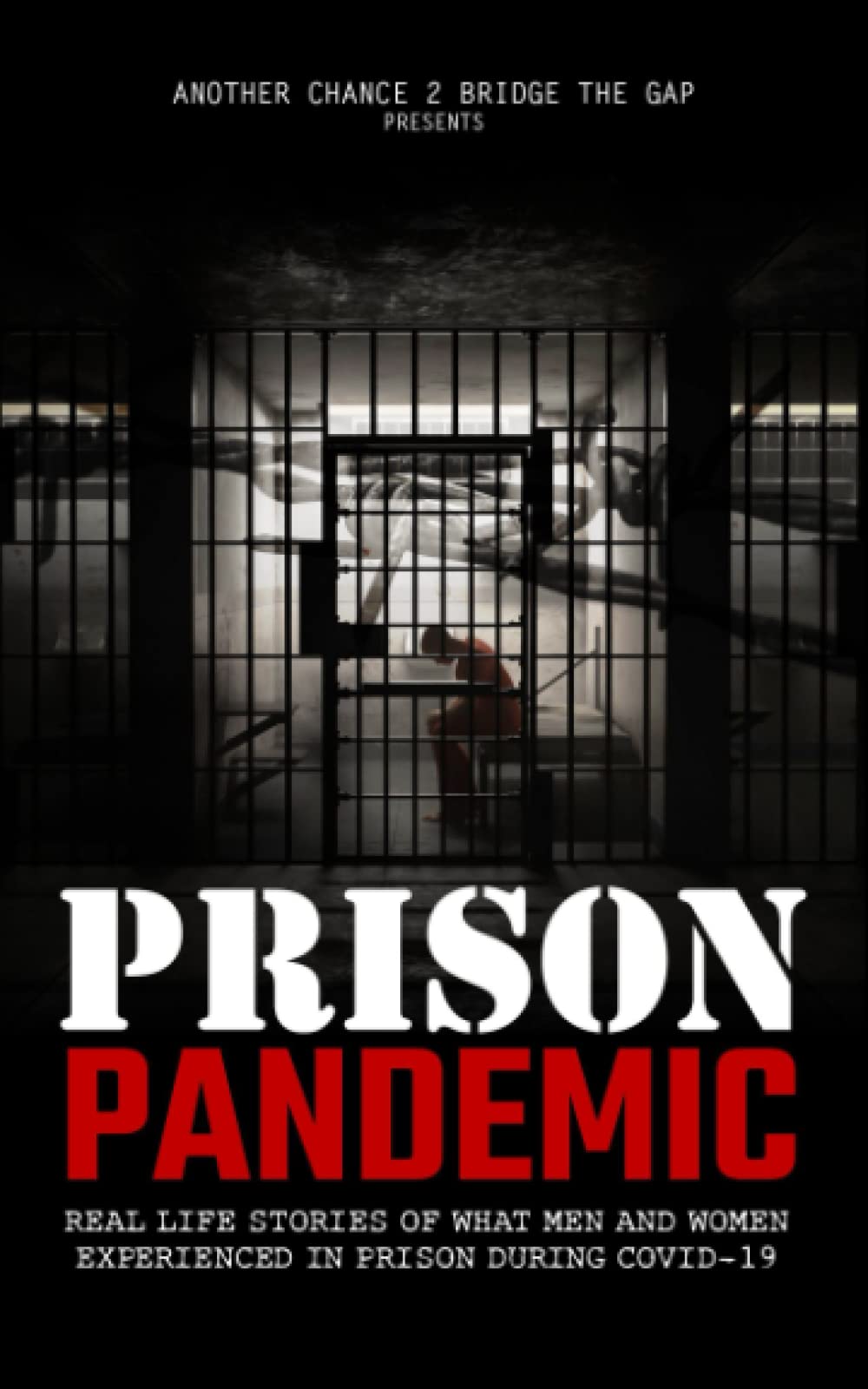 Prison Pandemic: Real Life Stories of What Men and Women Experienced in ...