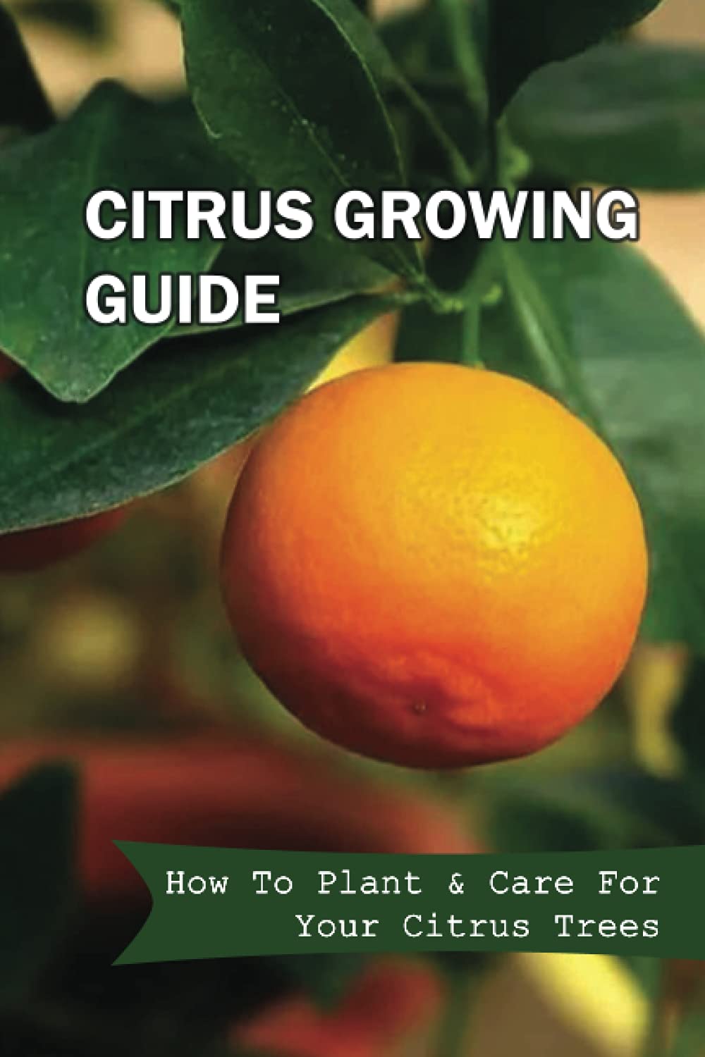 Citrus Growing Guide: How To Plant & Care For Your Citrus Trees: How To ...