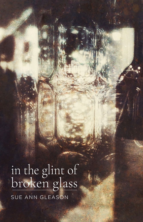 In the Glint of Broken Glass by Sue Ann Gleason | Goodreads