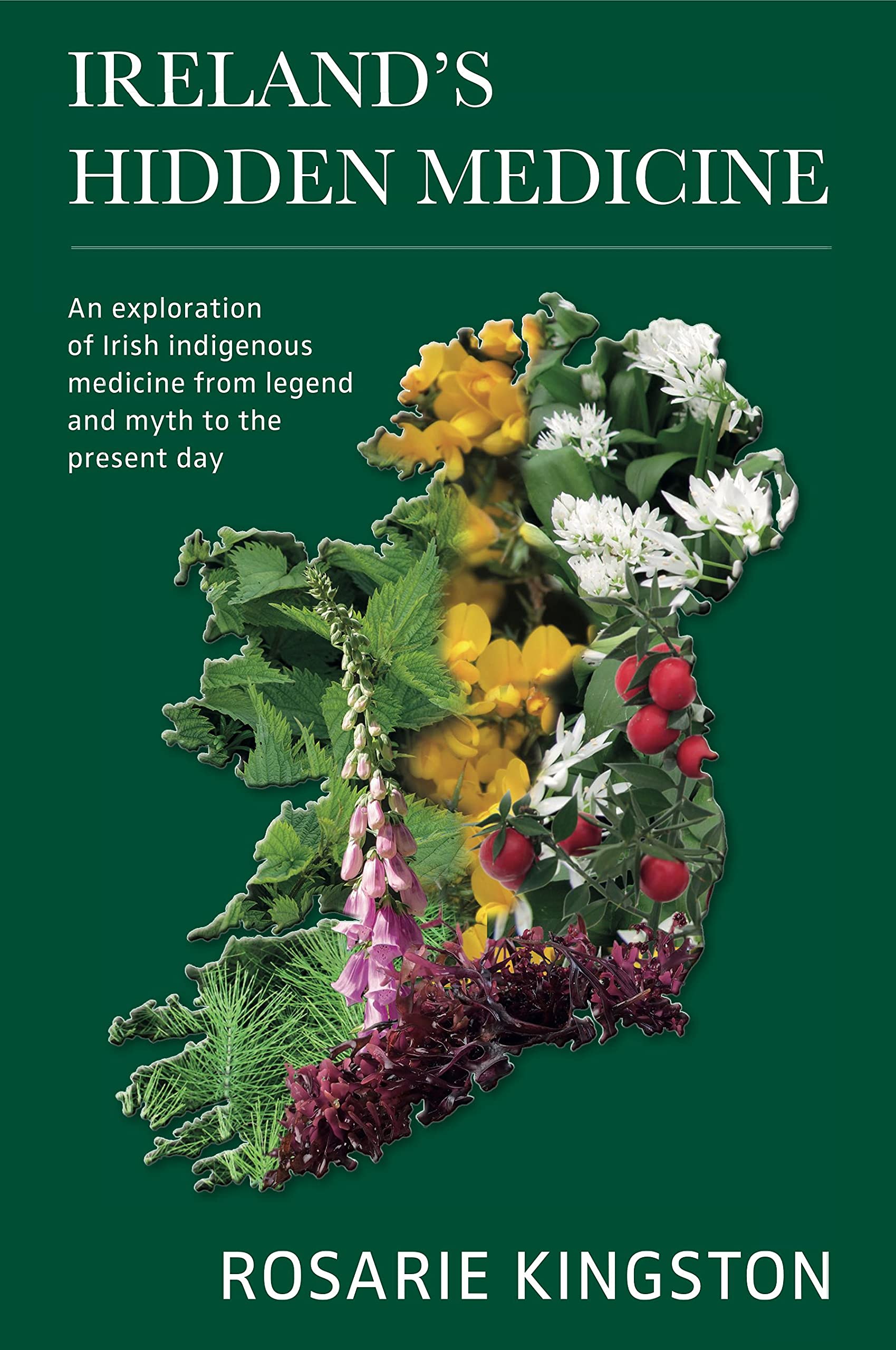 Ireland's Hidden Medicine: An Exploration of Irish Indigenous Medicine ...