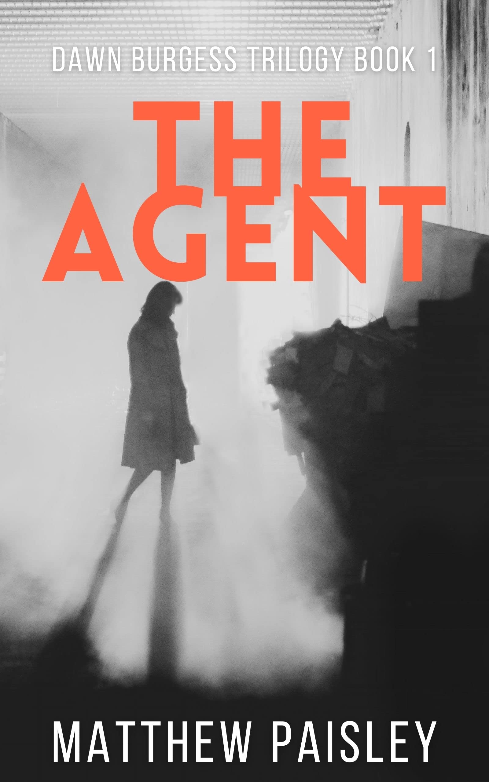The Agent (Dawn Burgess Series Book 1) by Matthew Paisley | Goodreads