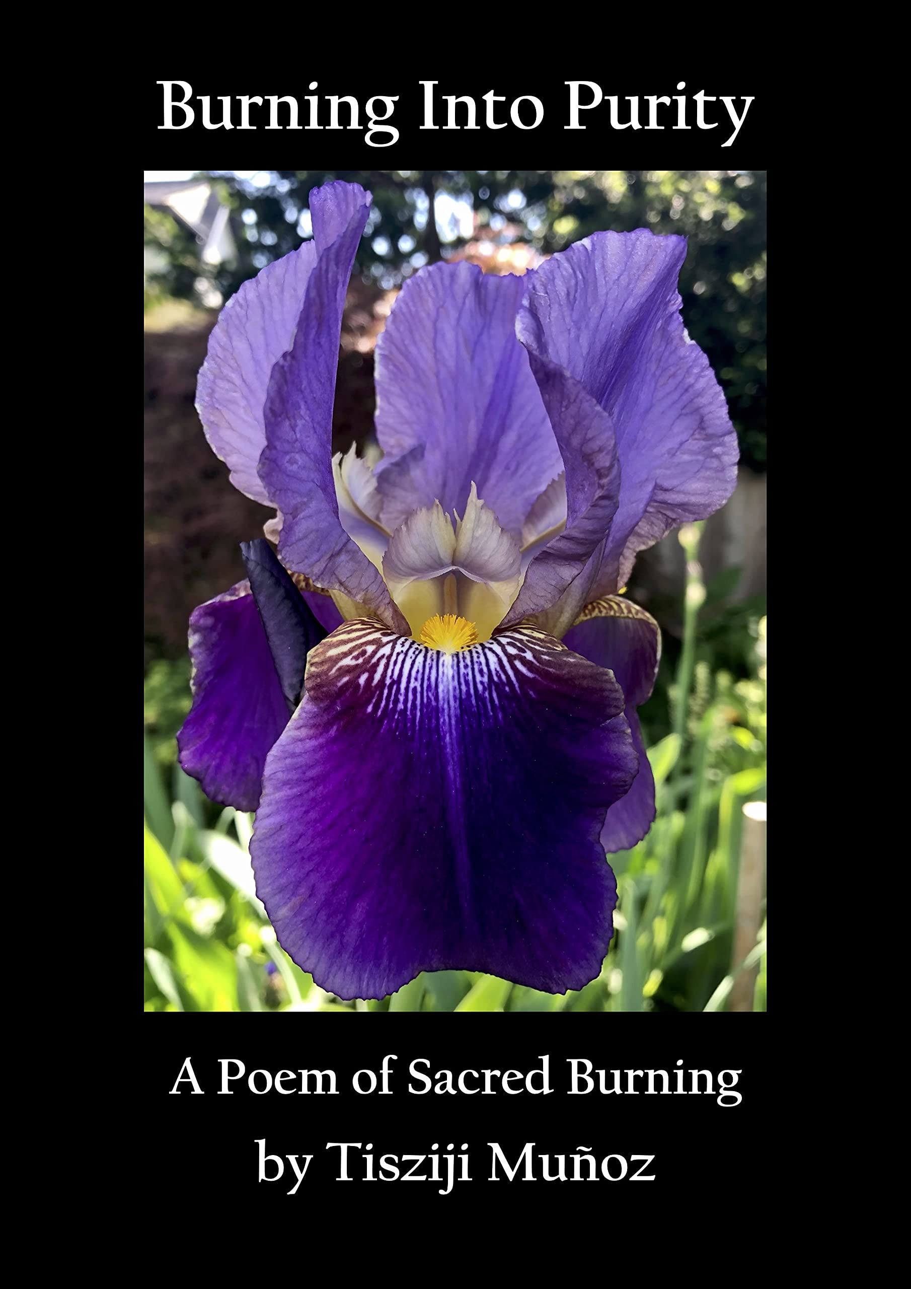Burning Into Purity: A Poem of Sacred Burning by Tisziji Muñoz | Goodreads