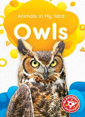 Owls by Amy McDonald | Goodreads