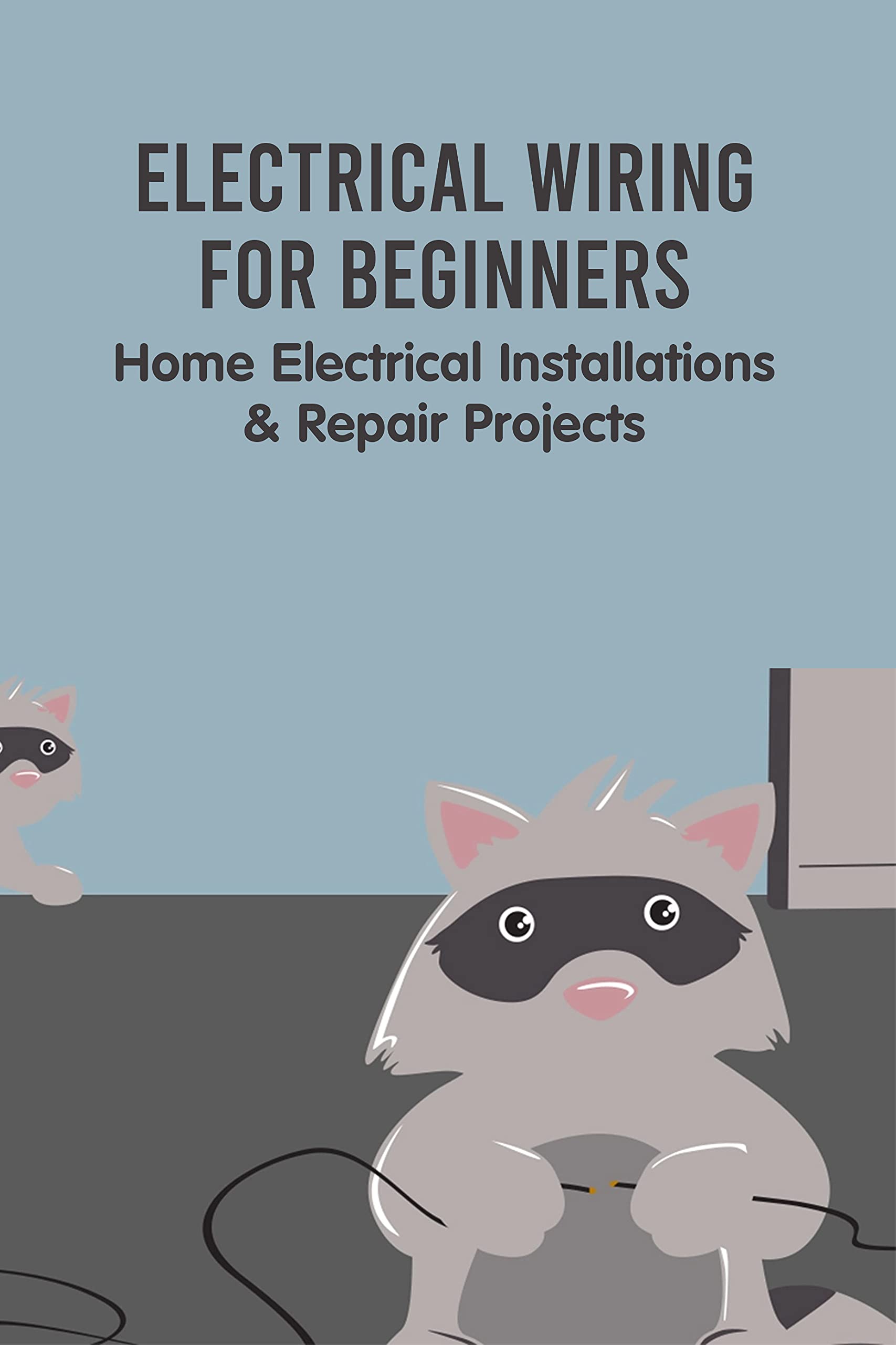 Electrical Wiring for Beginners: Home Electrical Installations & Repair ...