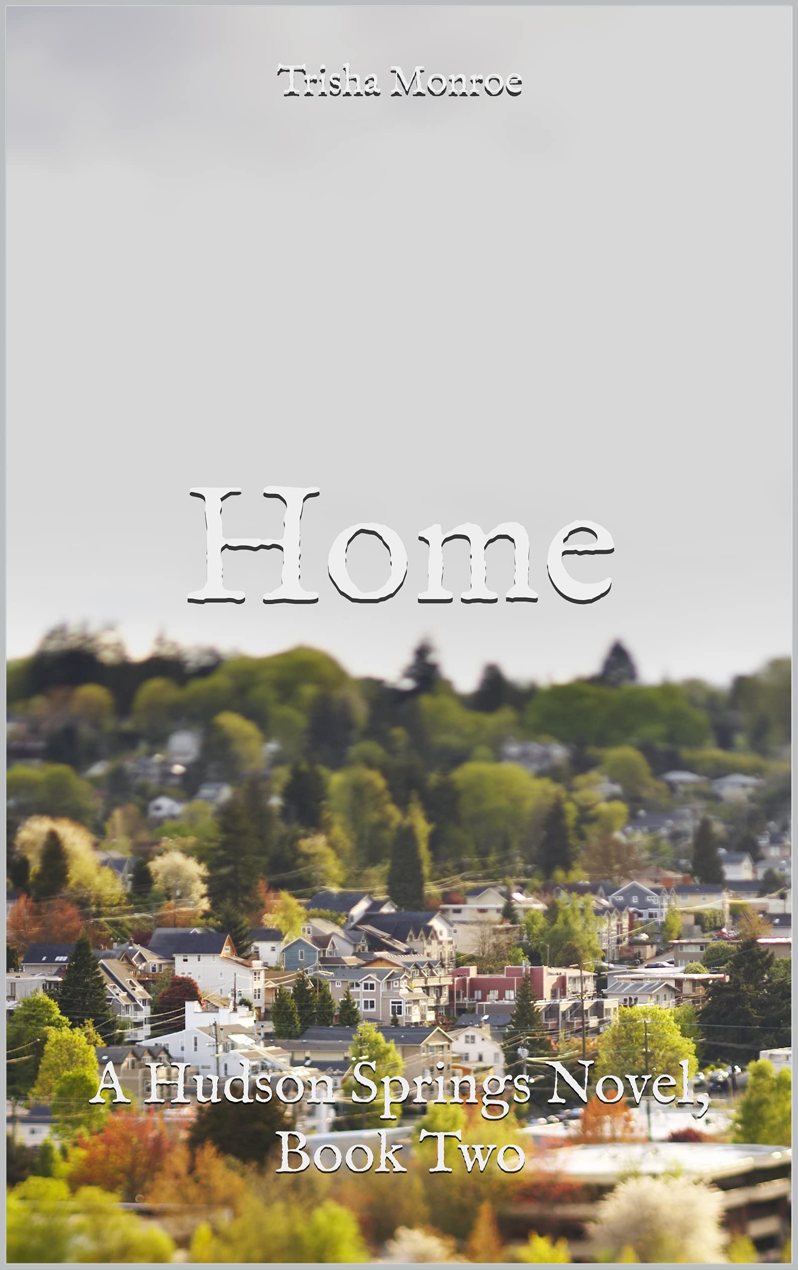Home: A Hudson Springs Novel, Book Two by Trisha Monroe | Goodreads