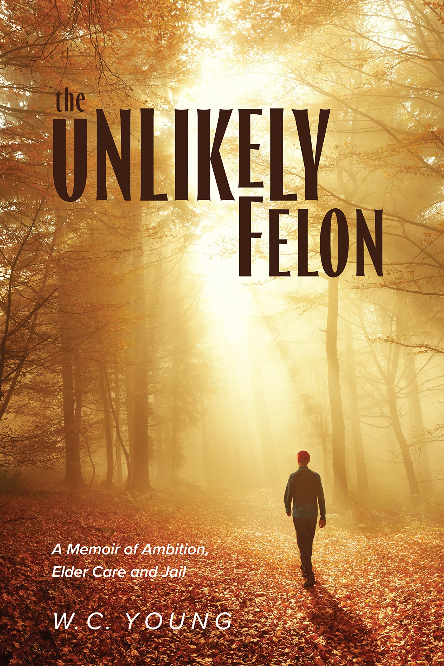 The Unlikely Felon: A Memoir of Ambition, Elder Care and Jail by W.C ...