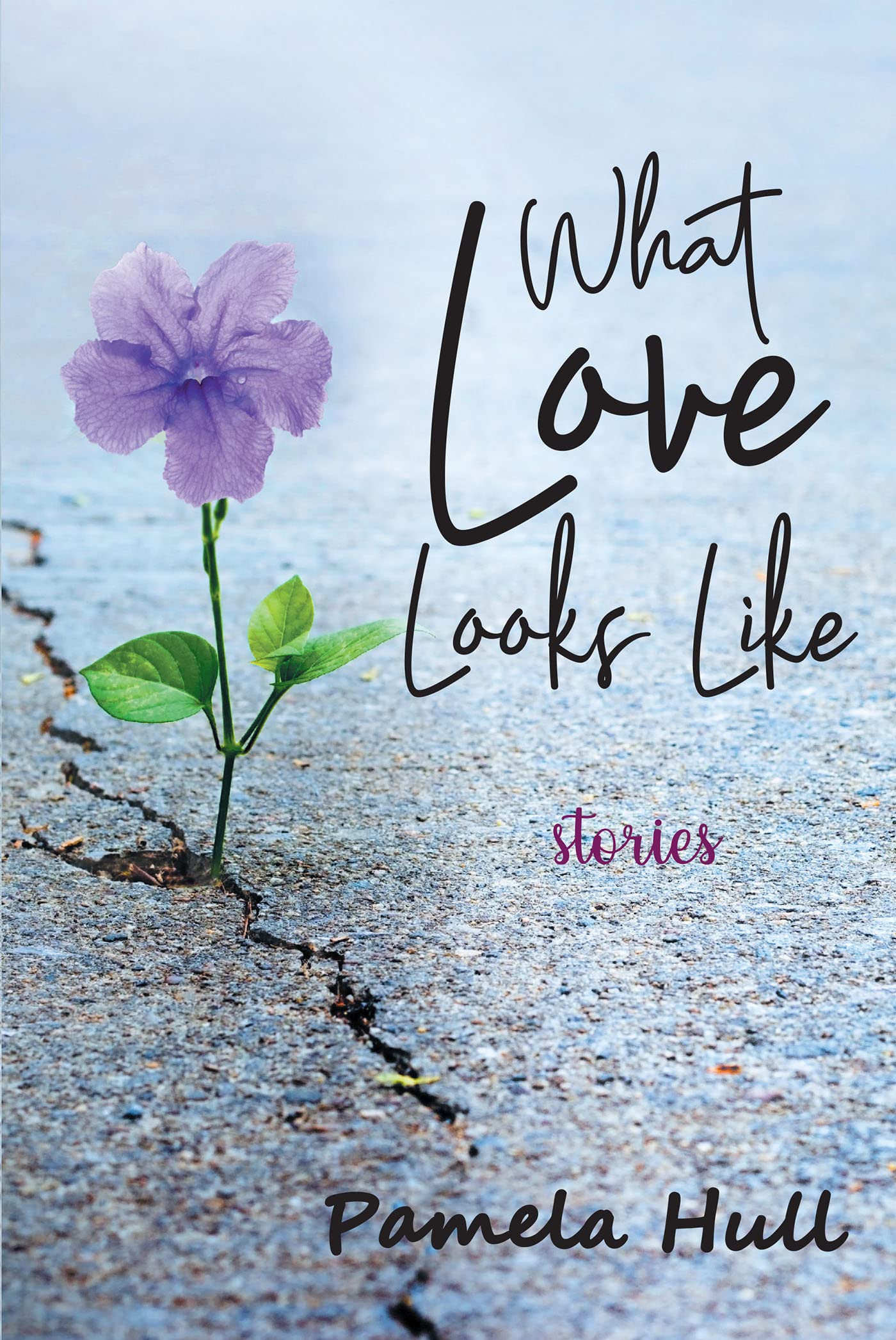 What Love Looks Like by Pamela Hull | Goodreads