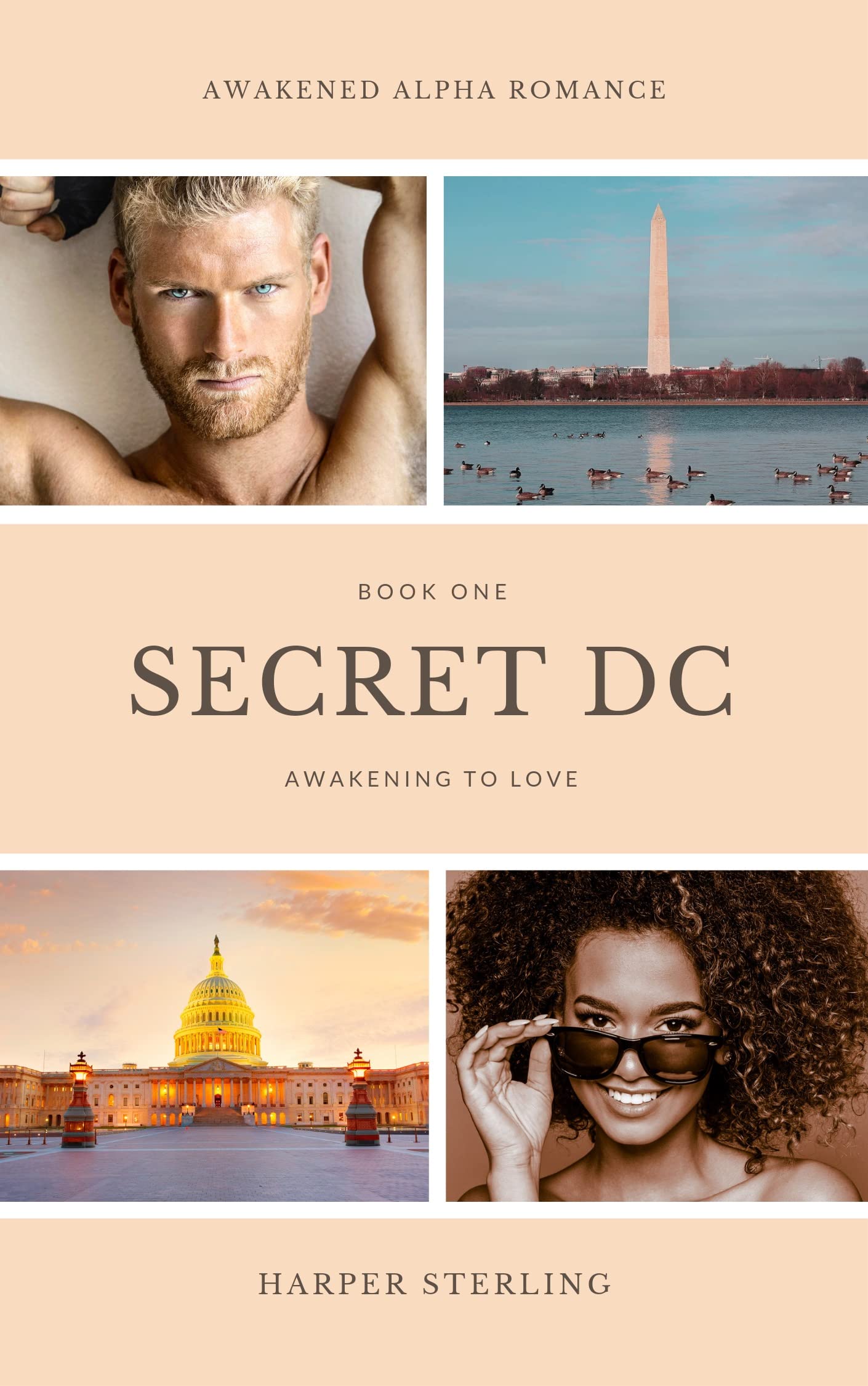 Secret DC: Book One: Awakening To Love by Harper Sterling | Goodreads