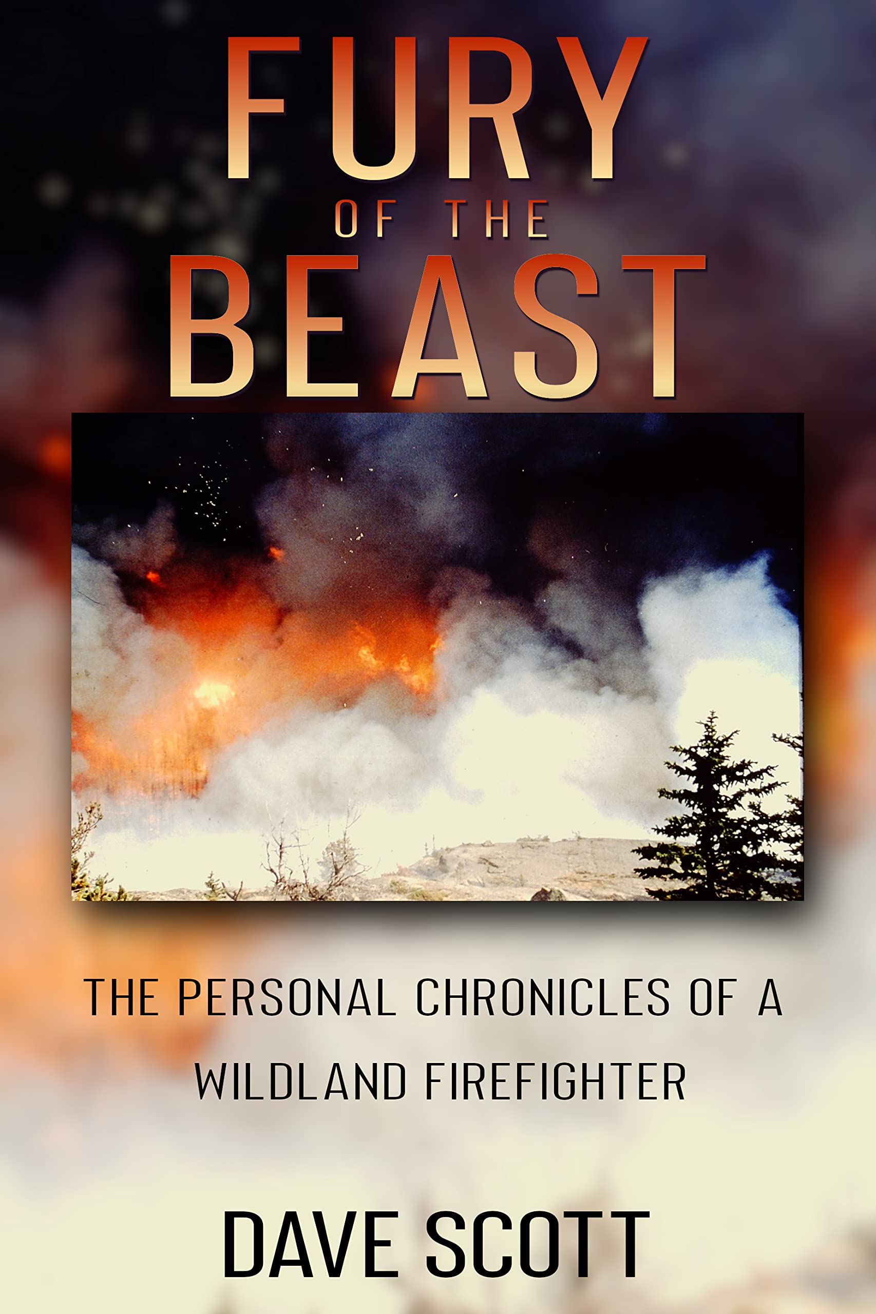 Fury of the Beast: The Personal Chronicles of a Wildland Firefighter by ...