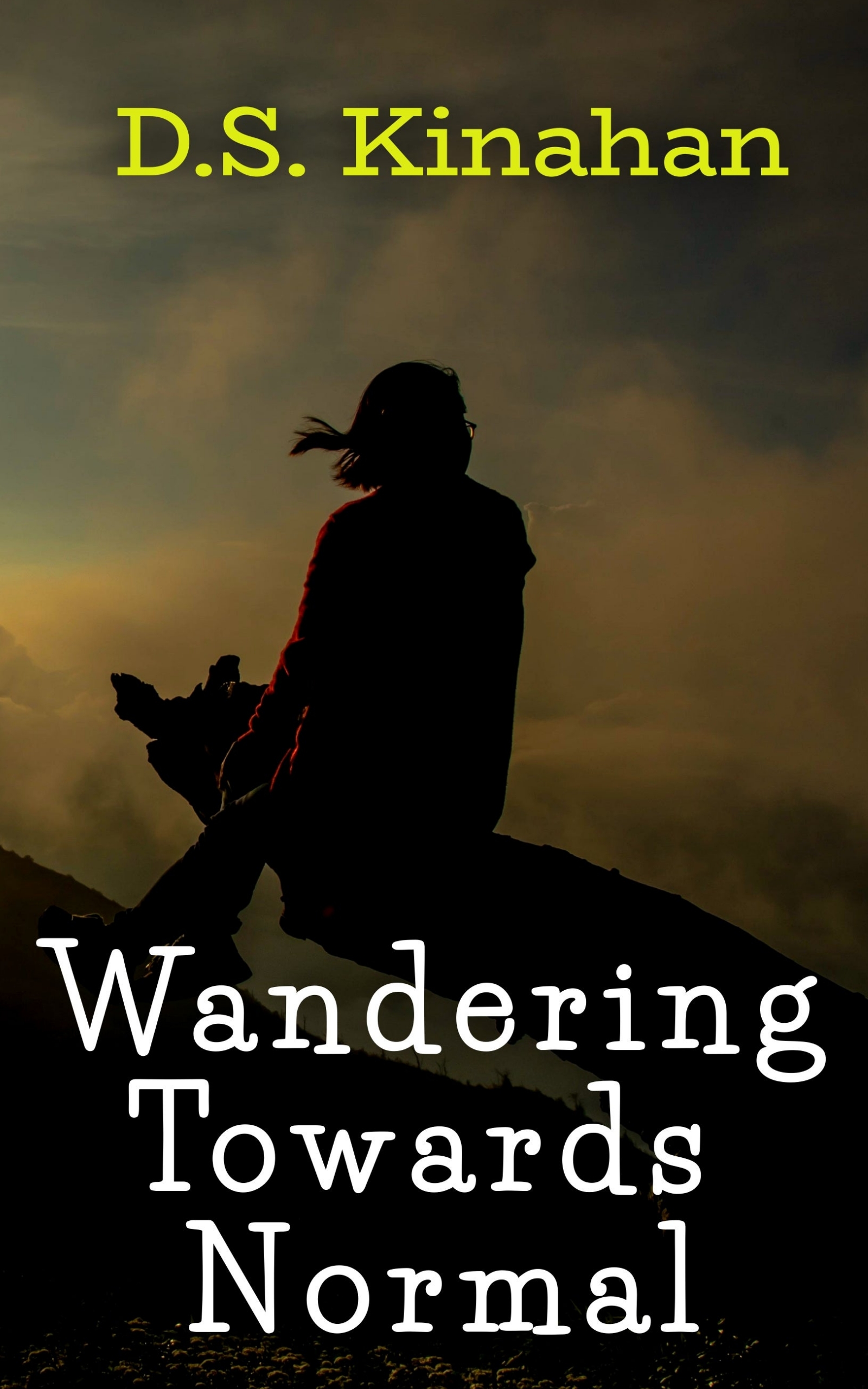 Wandering Towards Normal: A Sequel to "Love, Despair and Other ...