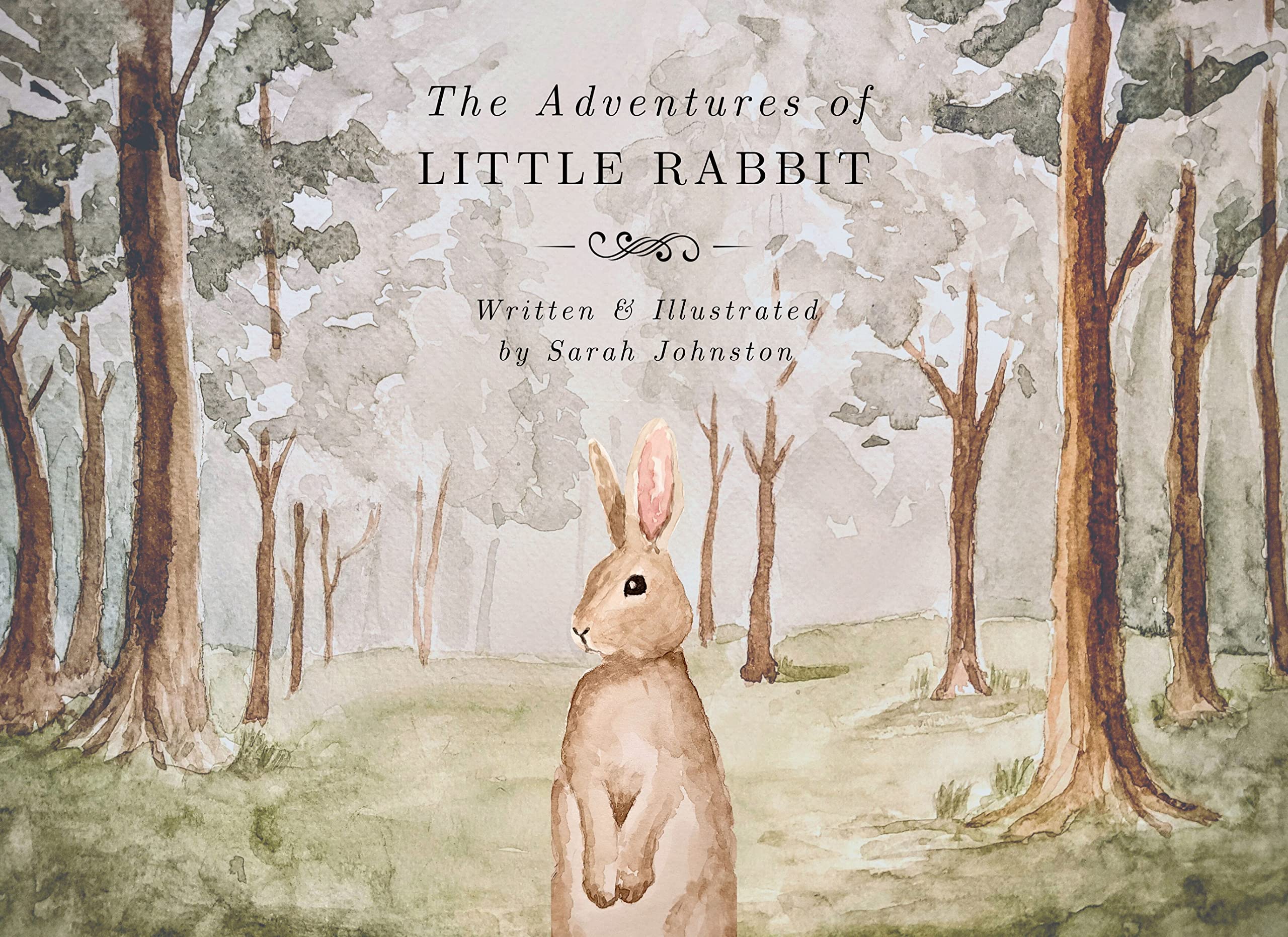 The Adventures of Little Rabbit by Sarah Johnston | Goodreads