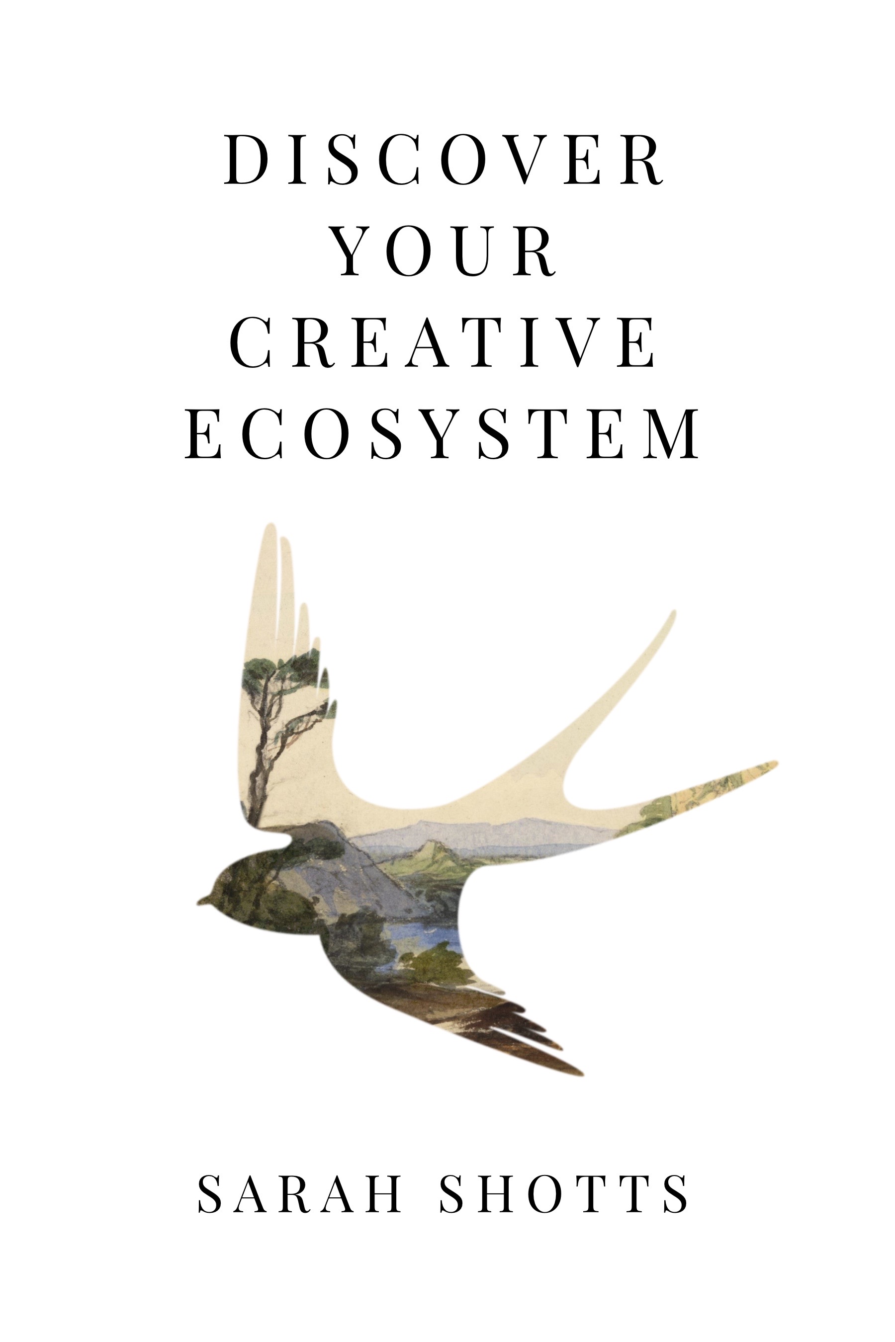 Discover Your Creative Ecosystem by Sarah Shotts | Goodreads