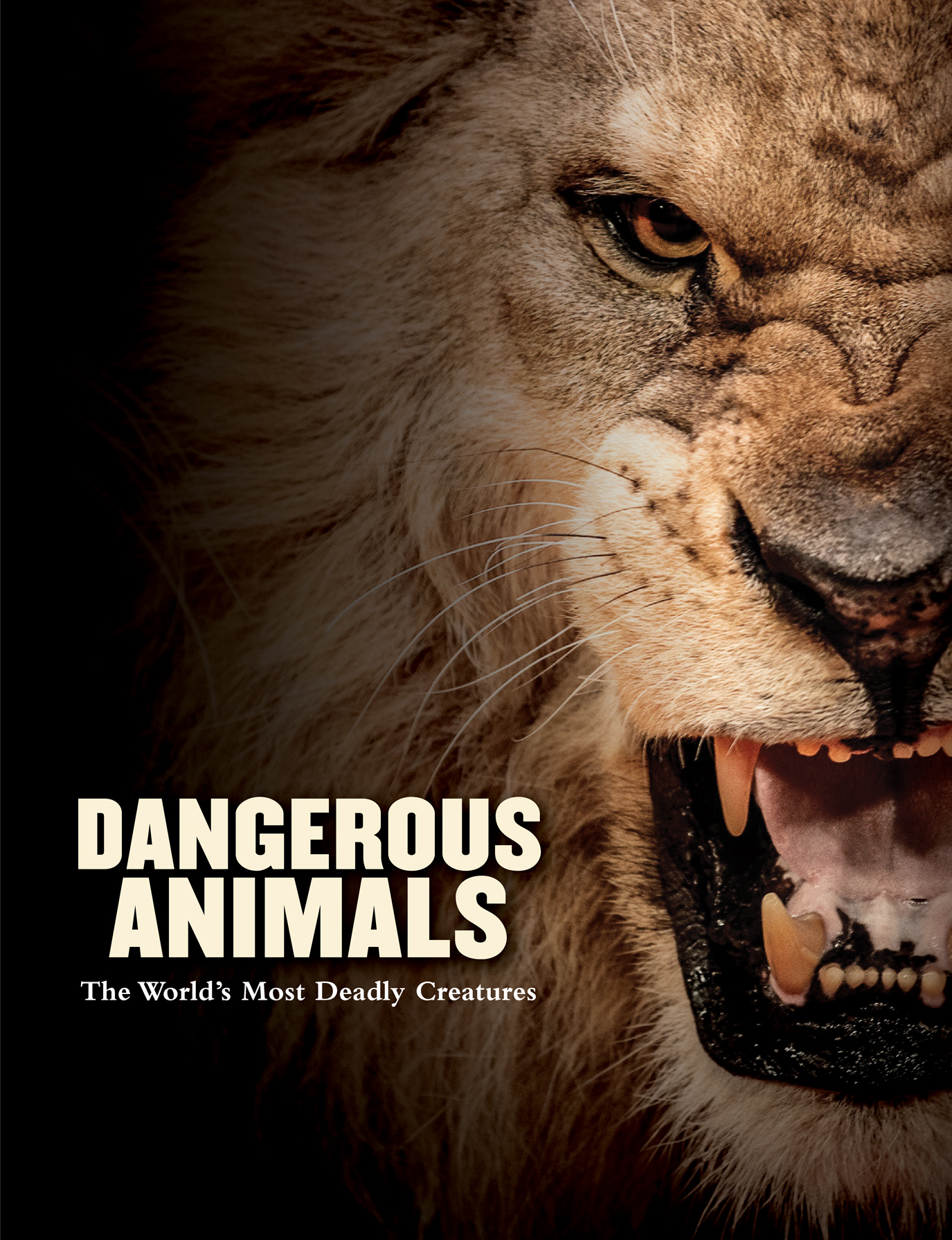 Dangerous Animals (Animals in Photographs) by Barry Madden | Goodreads