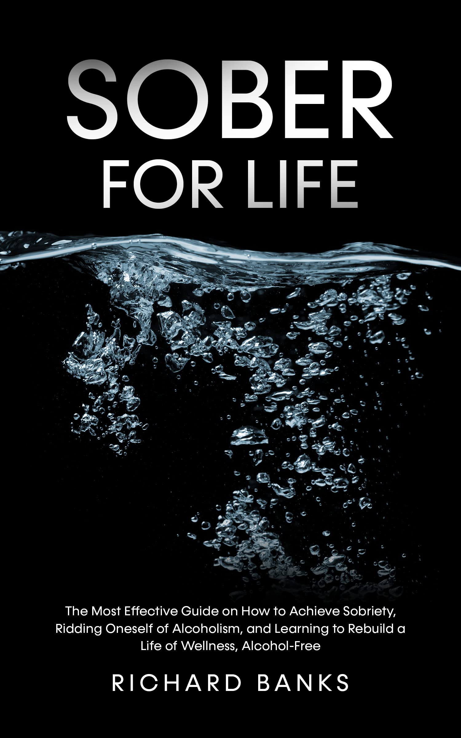 Sober for Life: The Most Effective Guide on How to Achieve Sobriety ...