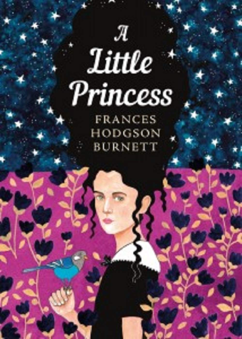 A Little Princess Illustrated by Frances Hodgson Burnett | Goodreads