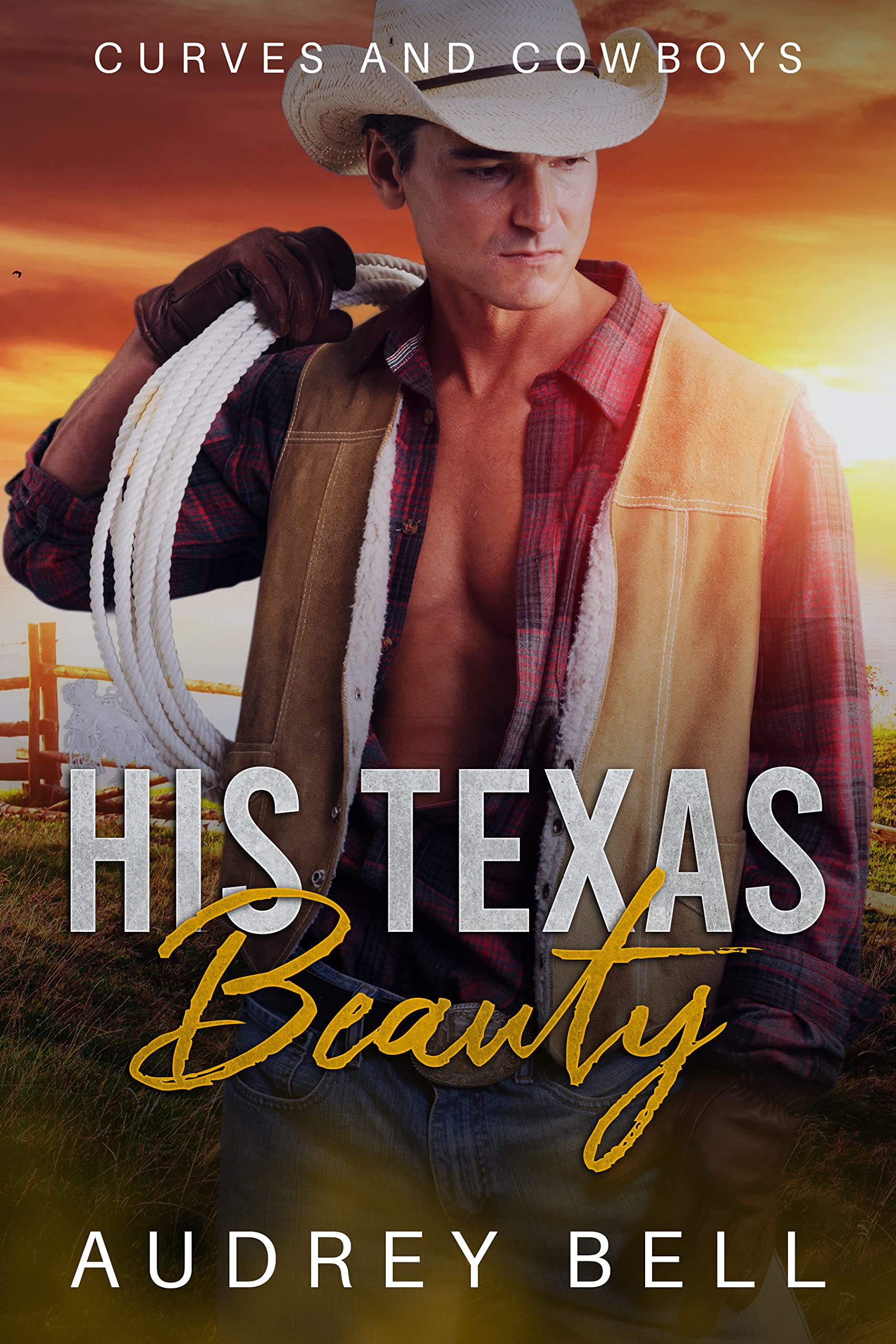 His Texas Beauty (Curves and Cowboys #2) by Audrey Bell | Goodreads