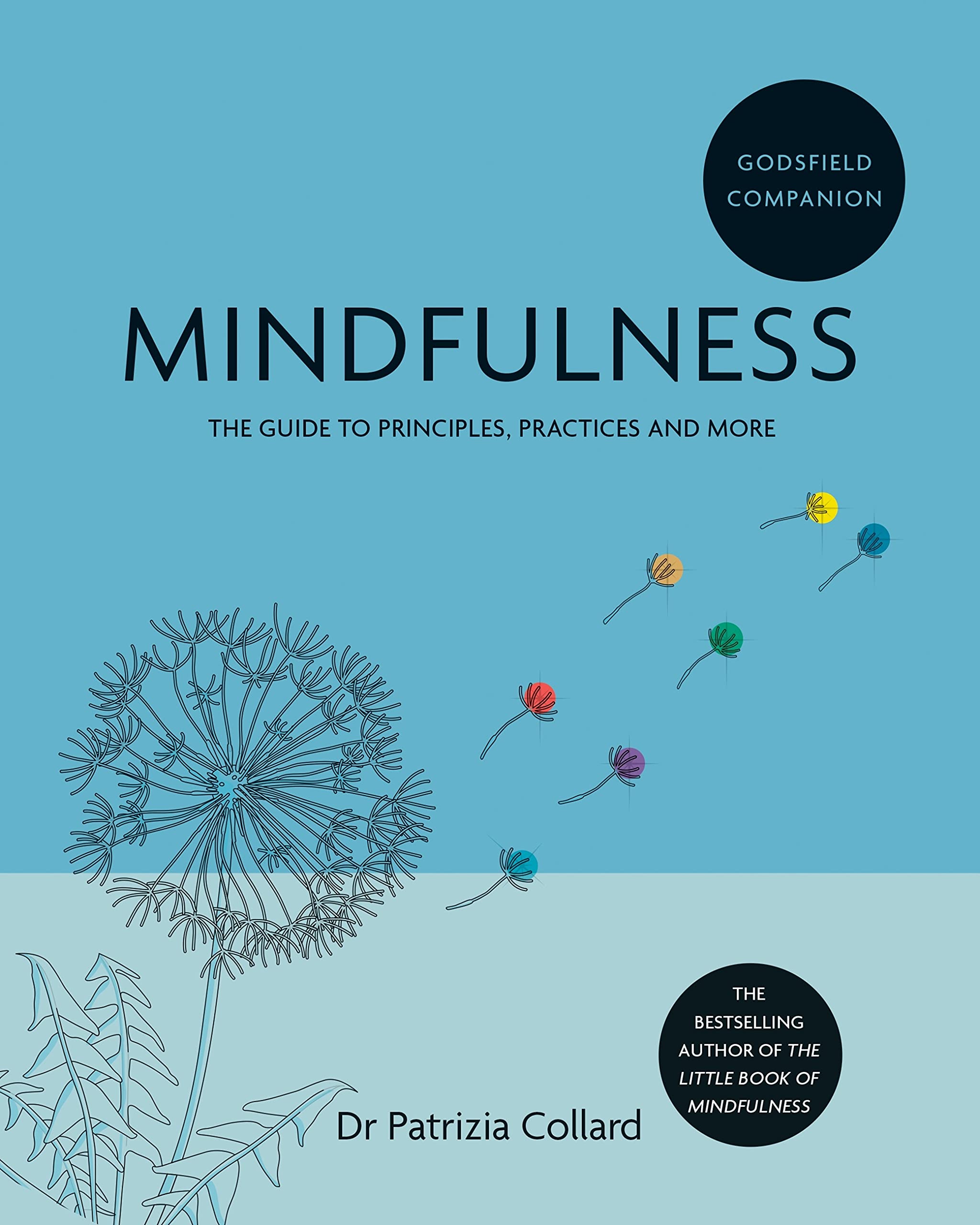 Godsfield Companion: Mindfulness: The guide to principles, practices ...